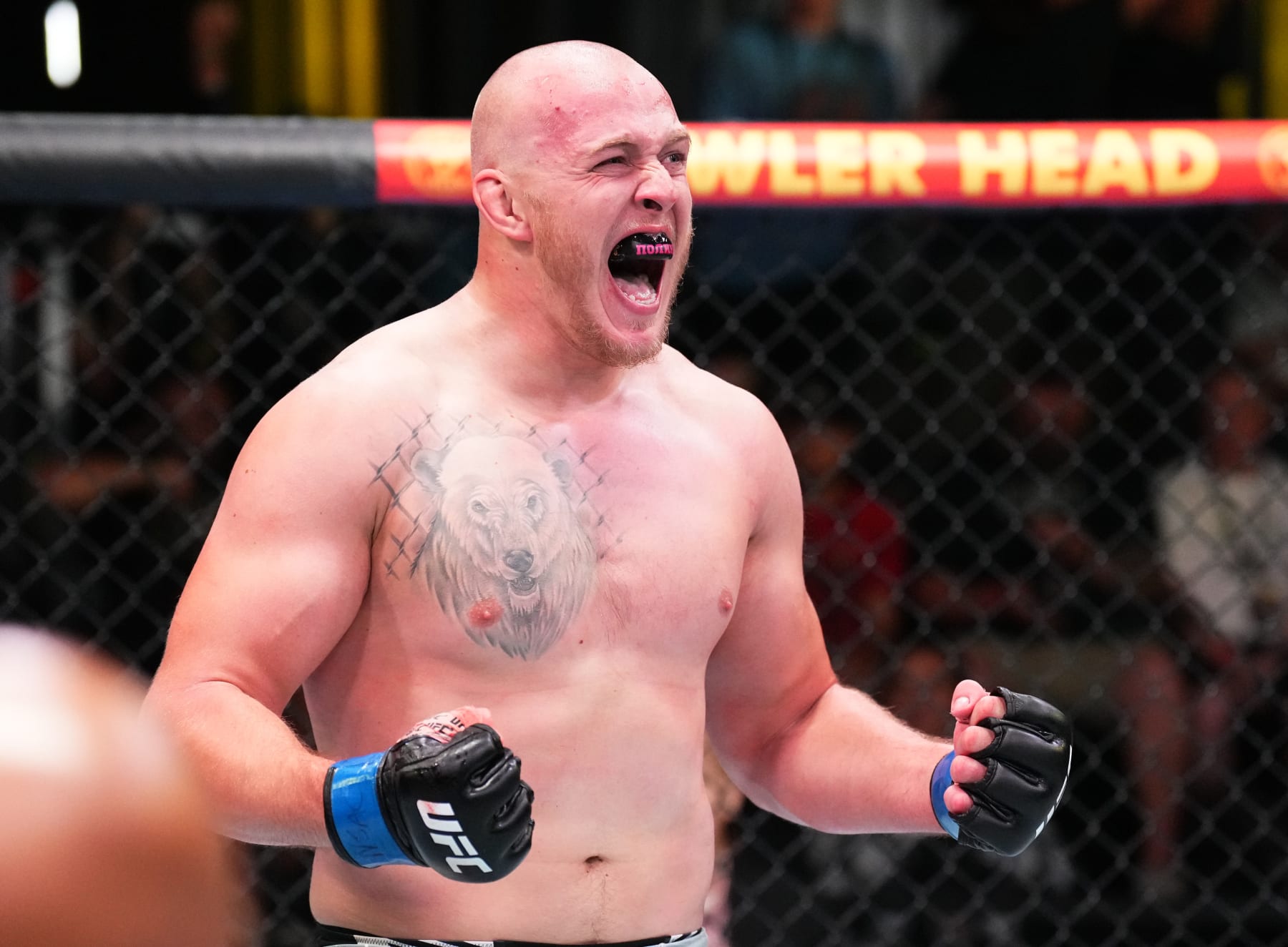 UFC Fight Night 218: Lewis vs. Spivac Odds, Schedule, Predictions