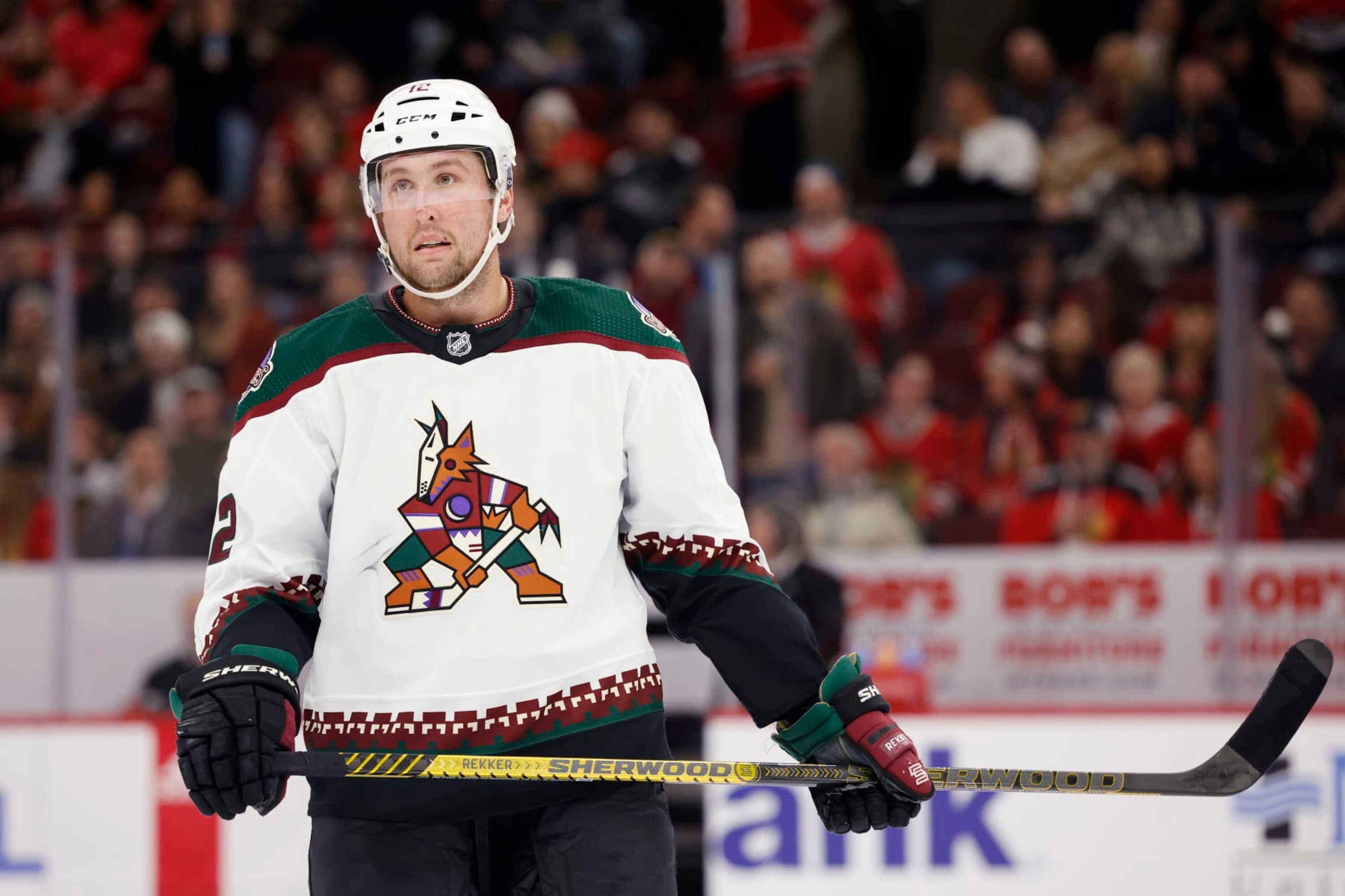 Brothers Nick, Brett Ritchie Swapped in Historic Flames-Coyotes ...