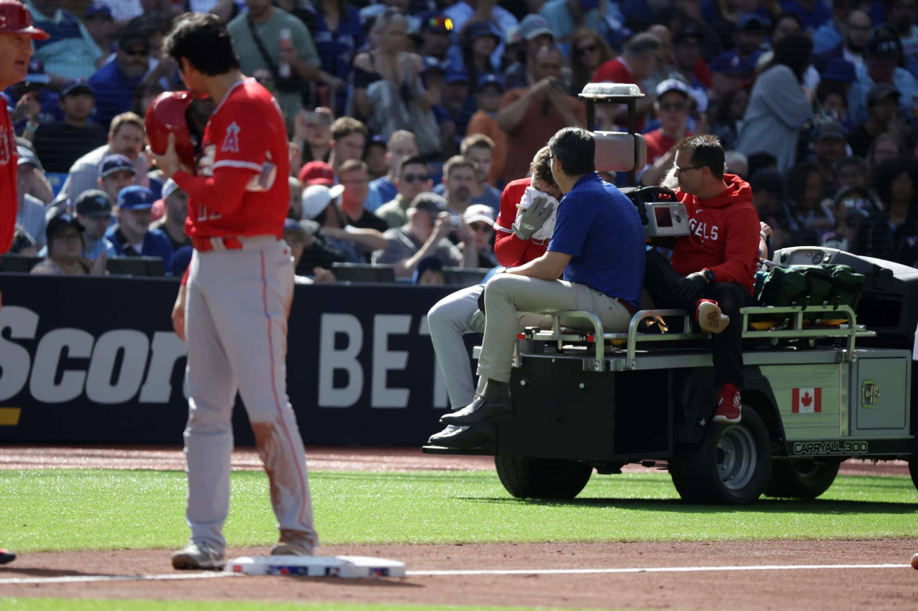 Angels' Taylor Ward on IL After Being Hospitalized from Being Hit in ...