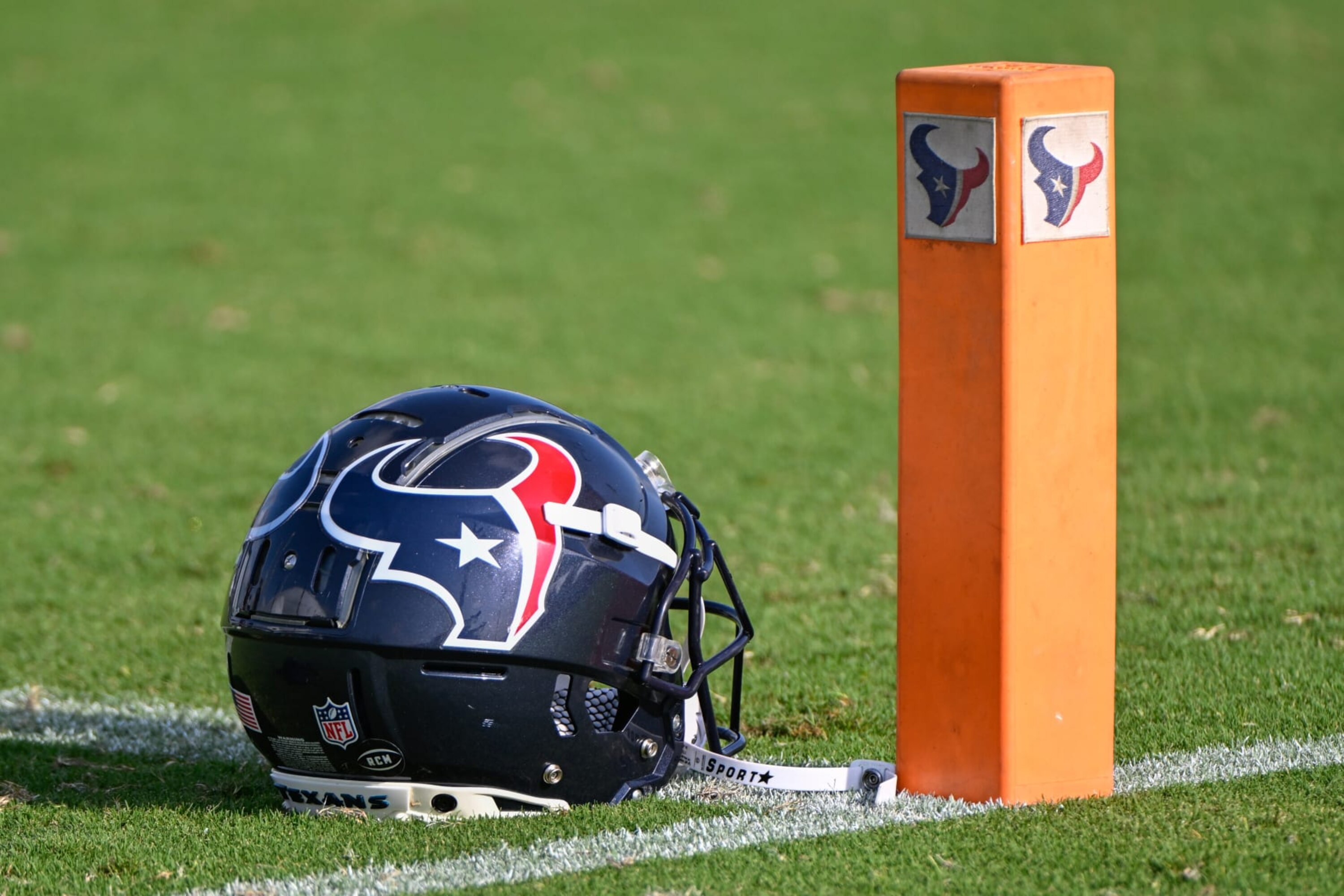 Javier Loya, Minority Texans Owner, Faces Rape, Sexual Abuse Charges