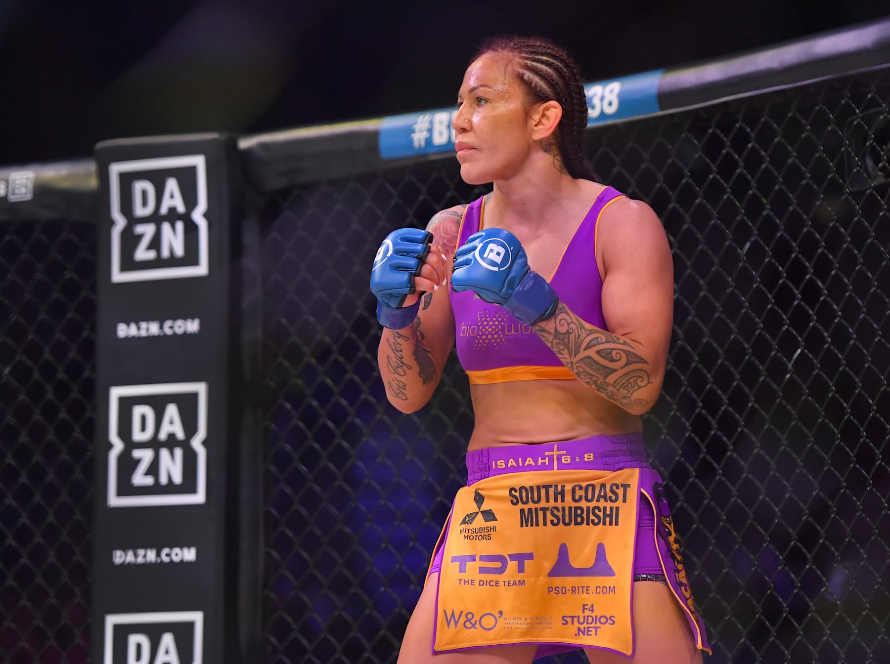 Cris Cyborg vs. Larissa Pacheco: Odds, Live Stream; KO, Judges ...