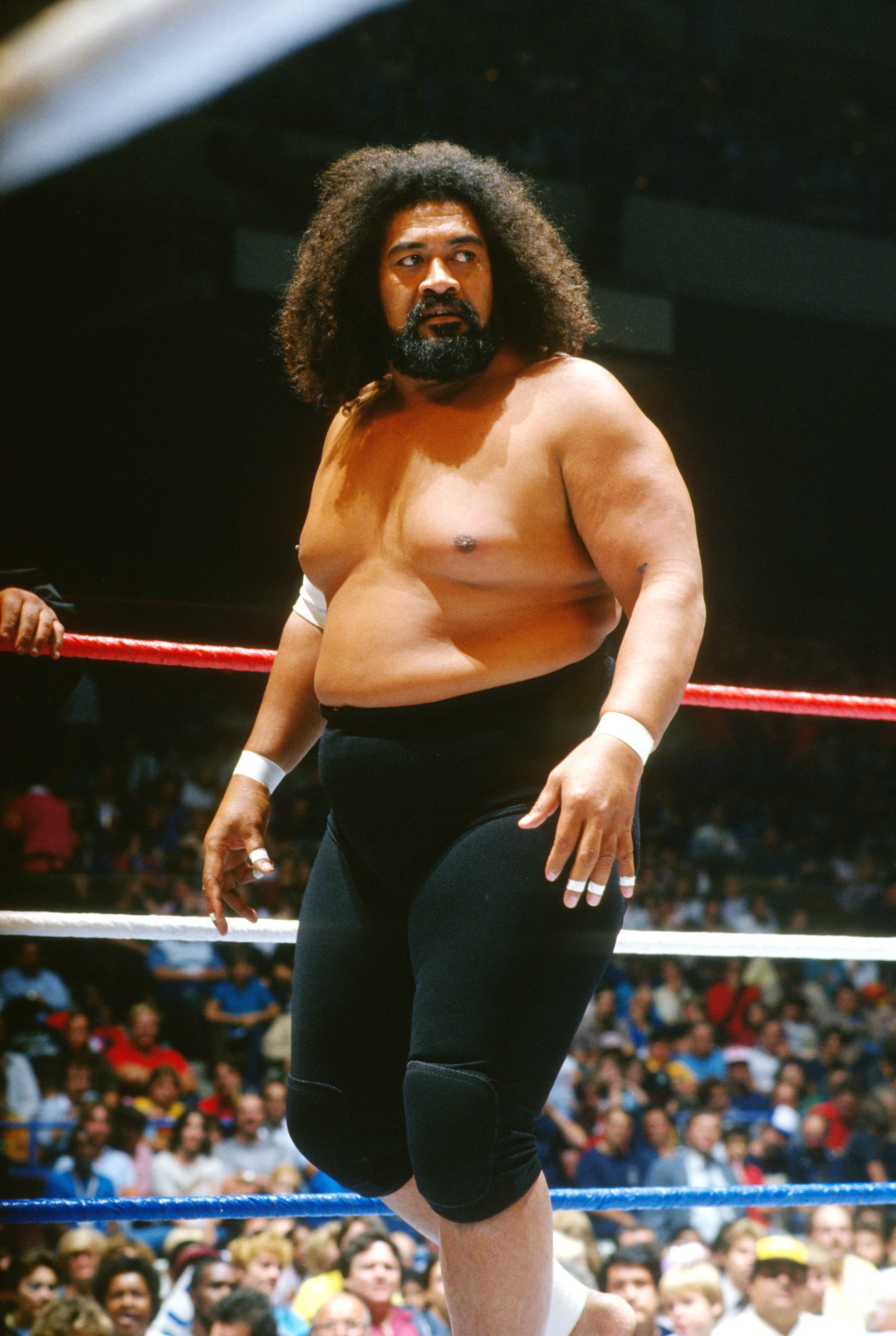 WWE Hall of Famer Sika Anoa'i Dies at Age 79; Father of Roman Reigns