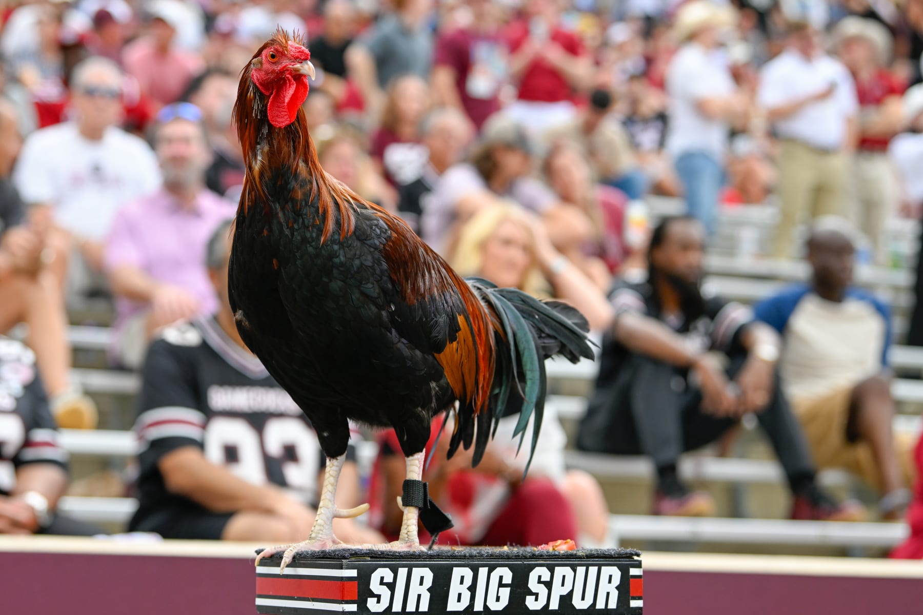 Way-Too-Early College Football Upset Picks for 2024