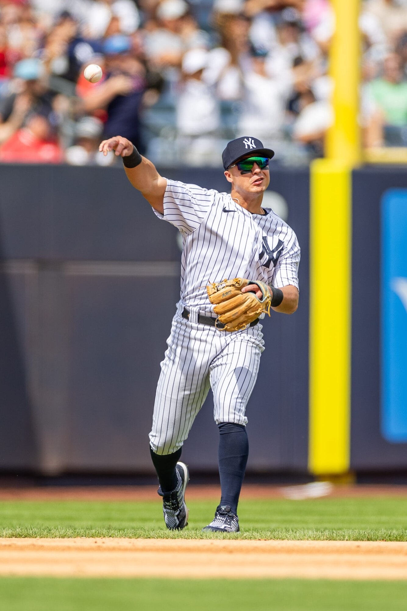 Anthony Volpe, Triston Casas and the Updated 2023 MLB Rookie Rankings