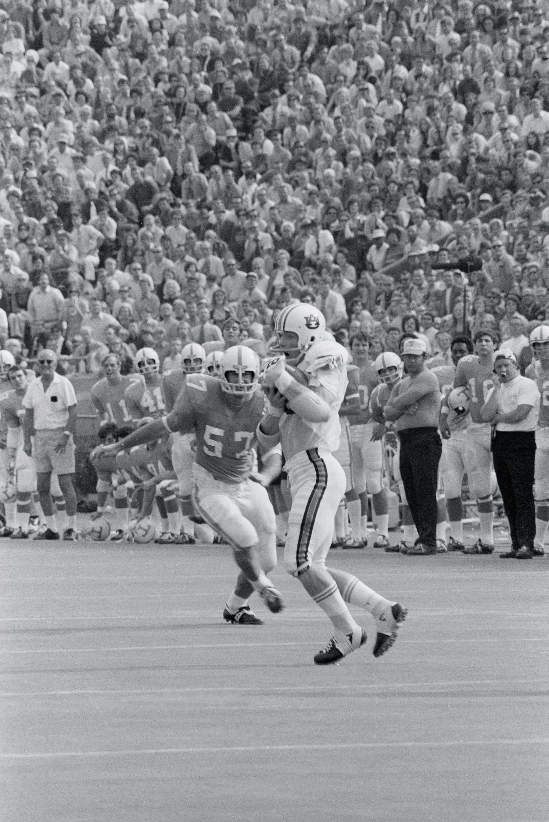 Terry Beasley Dies at Age 73 of Apparent Suicide; Former Auburn WR Was ...