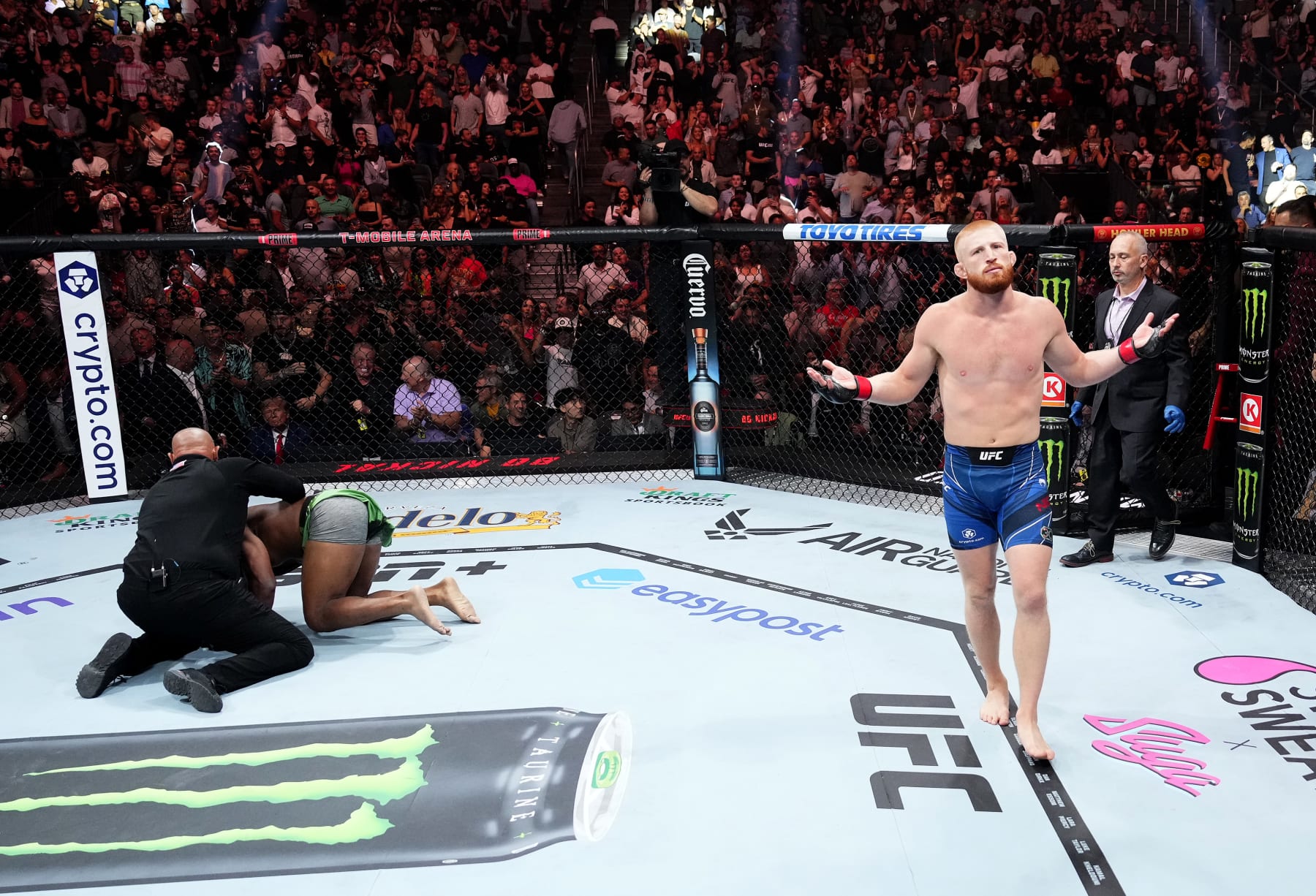 Alexander Volkanovski And the Real Winners and Losers from UFC 290