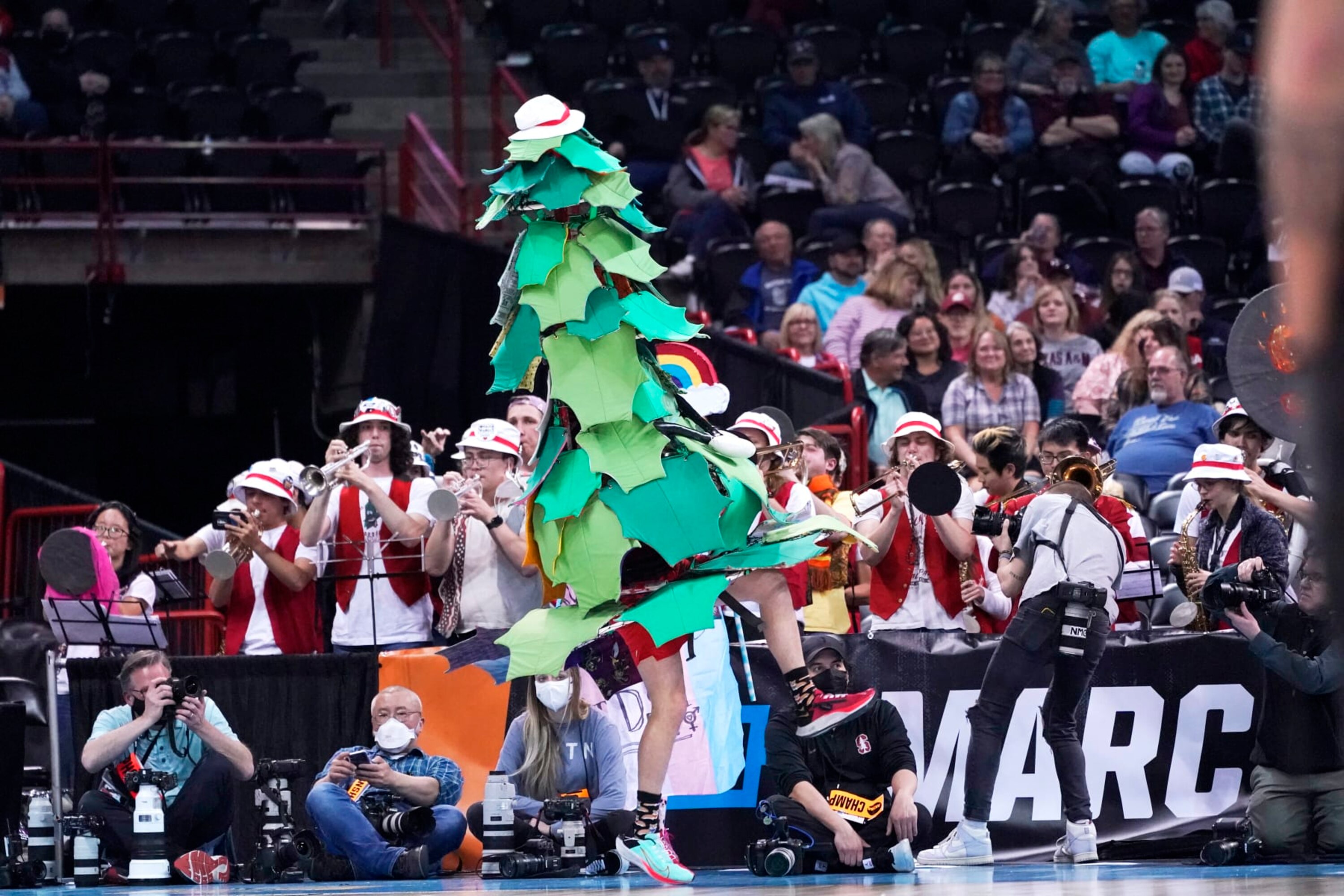 Stanford Student Suspended as Tree Mascot After Holding 'Stanford Hates ...