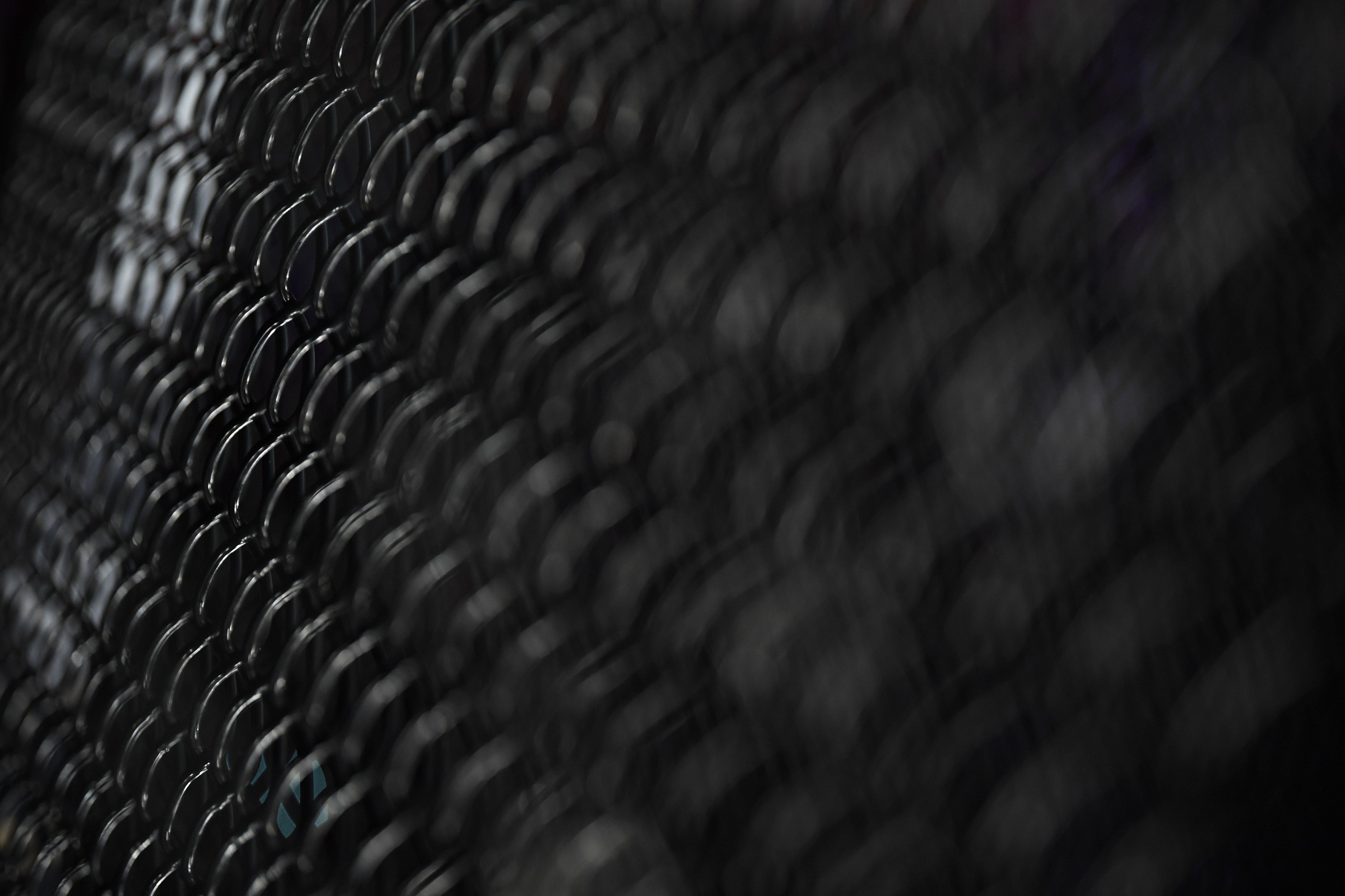 Former MMA Fighter David Koenig's Remains Found Almost 2 Years After ...