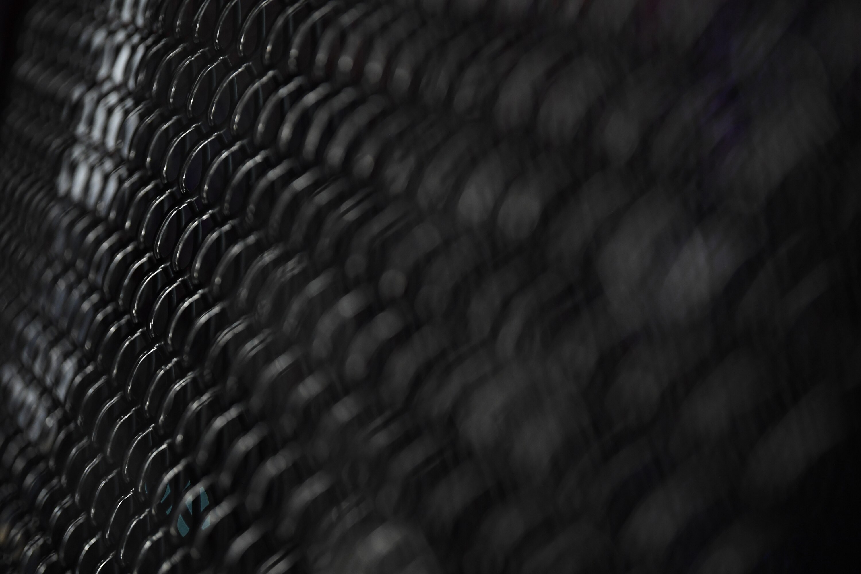 Former MMA Fighter David Koenig's Remains Found Almost 2 Years After ...