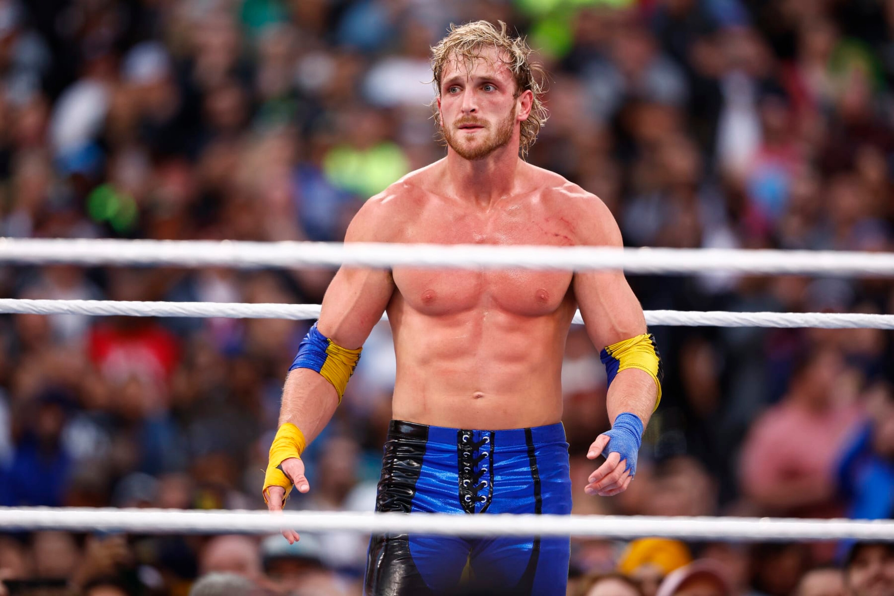 Logan Paul Talks Scary Ricochet Spot; Bayley on NJPW; WWE Rumors on ...