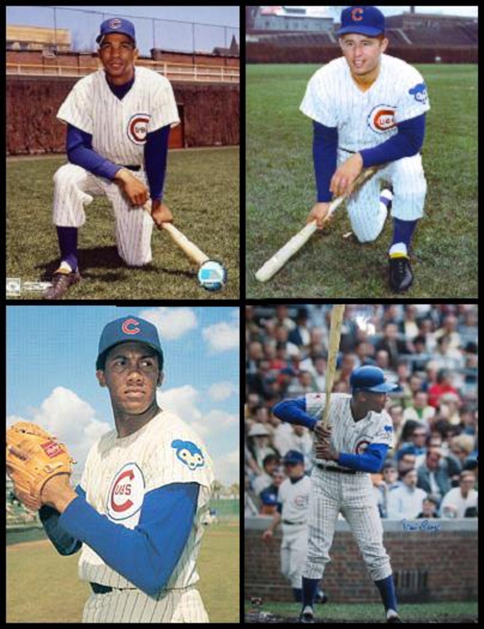 The 1969 Chicago Cubs: A Look Back
