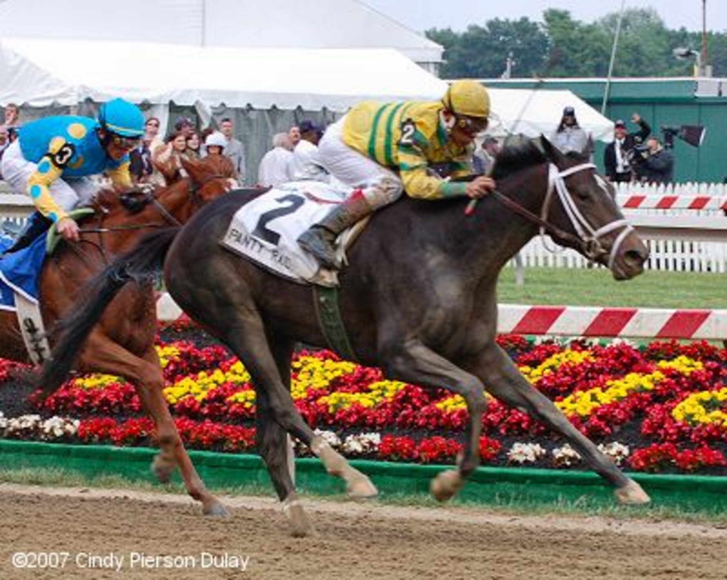 Kentucky Derby: The 20 Most Hilarious Horse Names Of All Time
