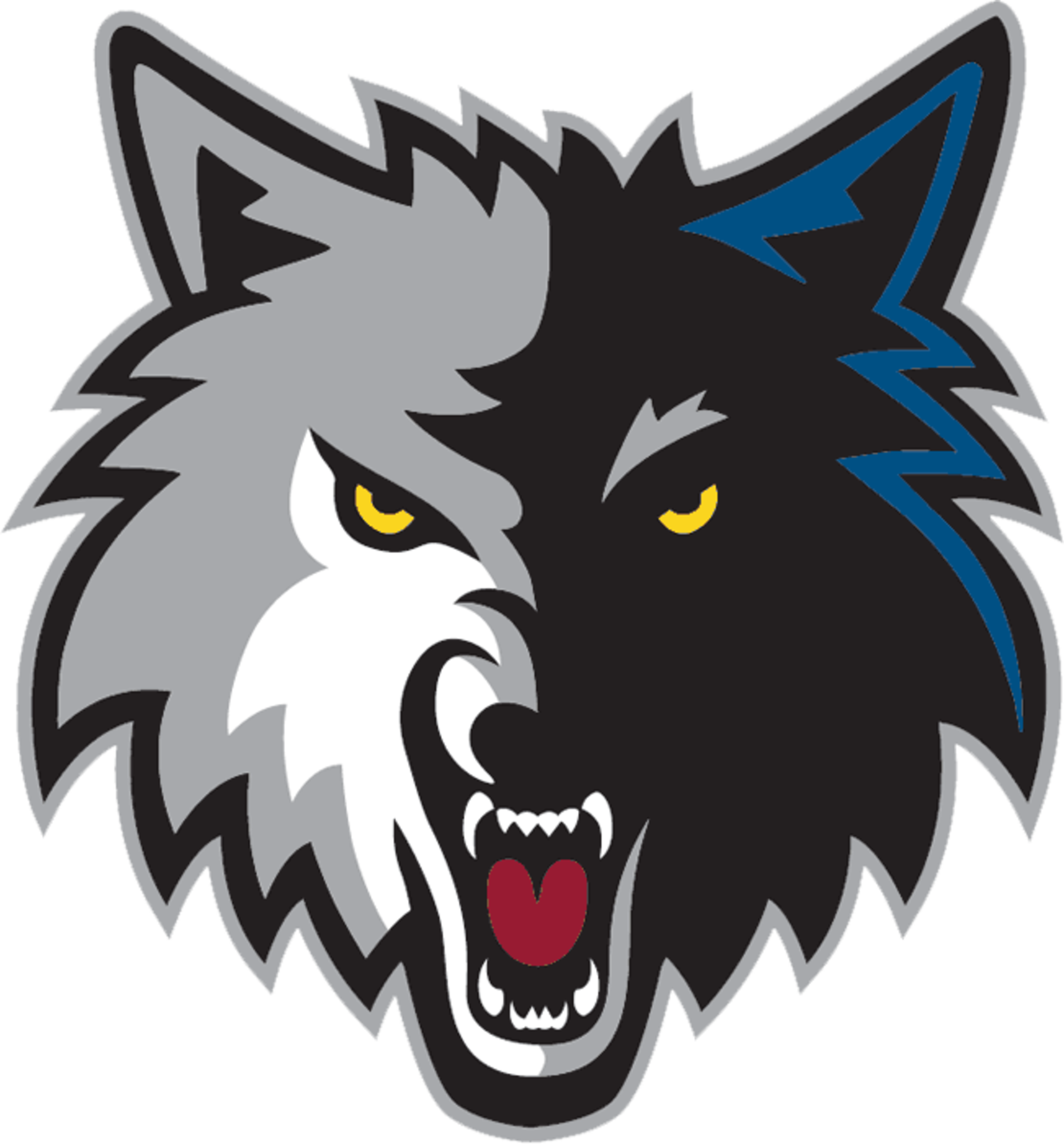 2010 NBA Mock Draft: The Minnesota T'Wolves Will Finally Win Something