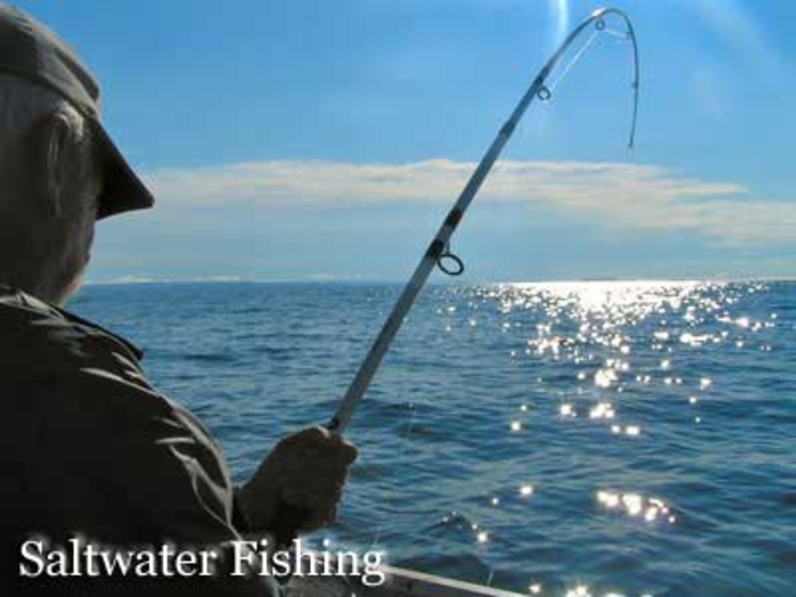 The Best Saltwater Fish You Will Ever Eat and Tips on How to Catch Them