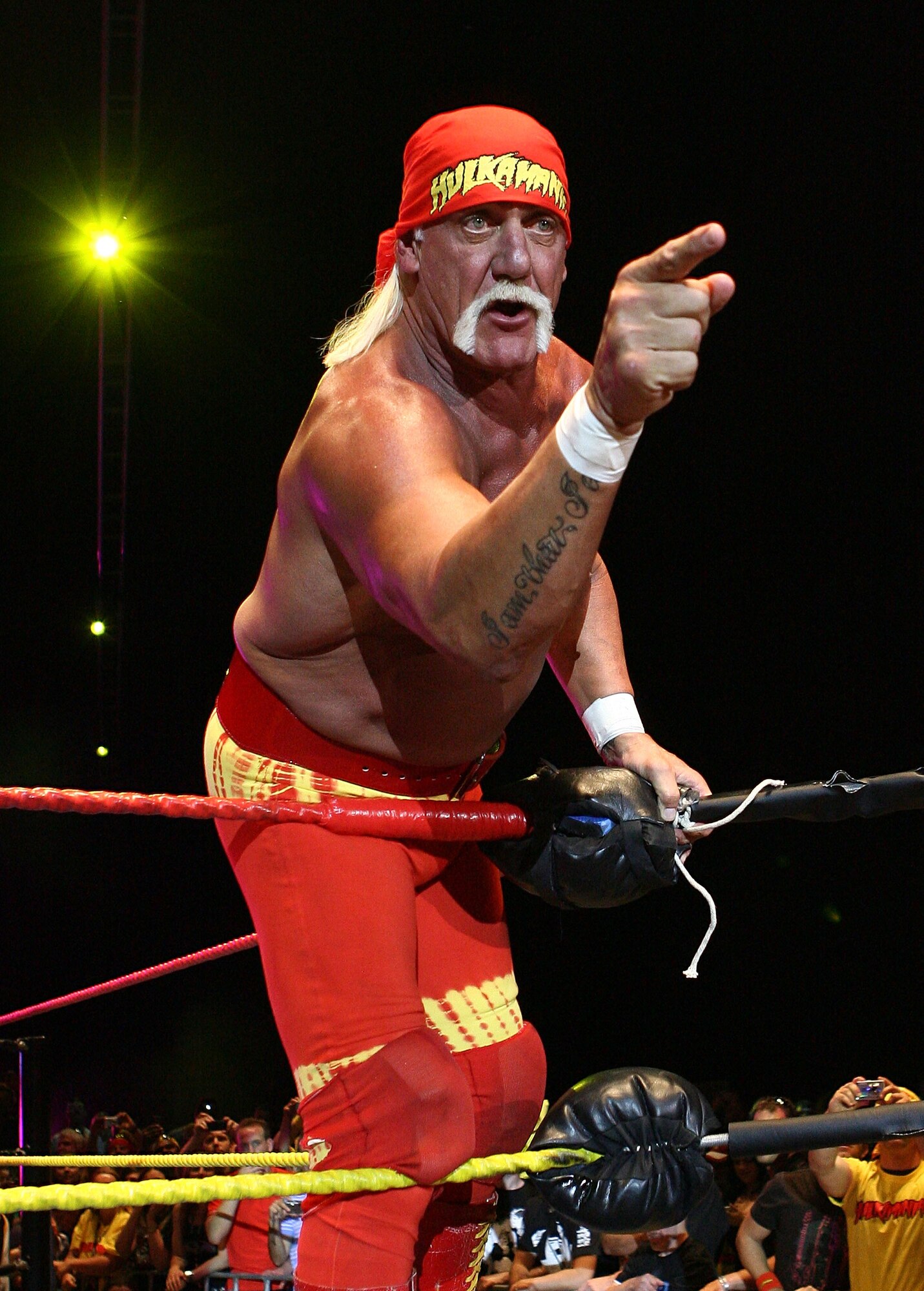 The Top Ten MMA Heavyweights of All Time!