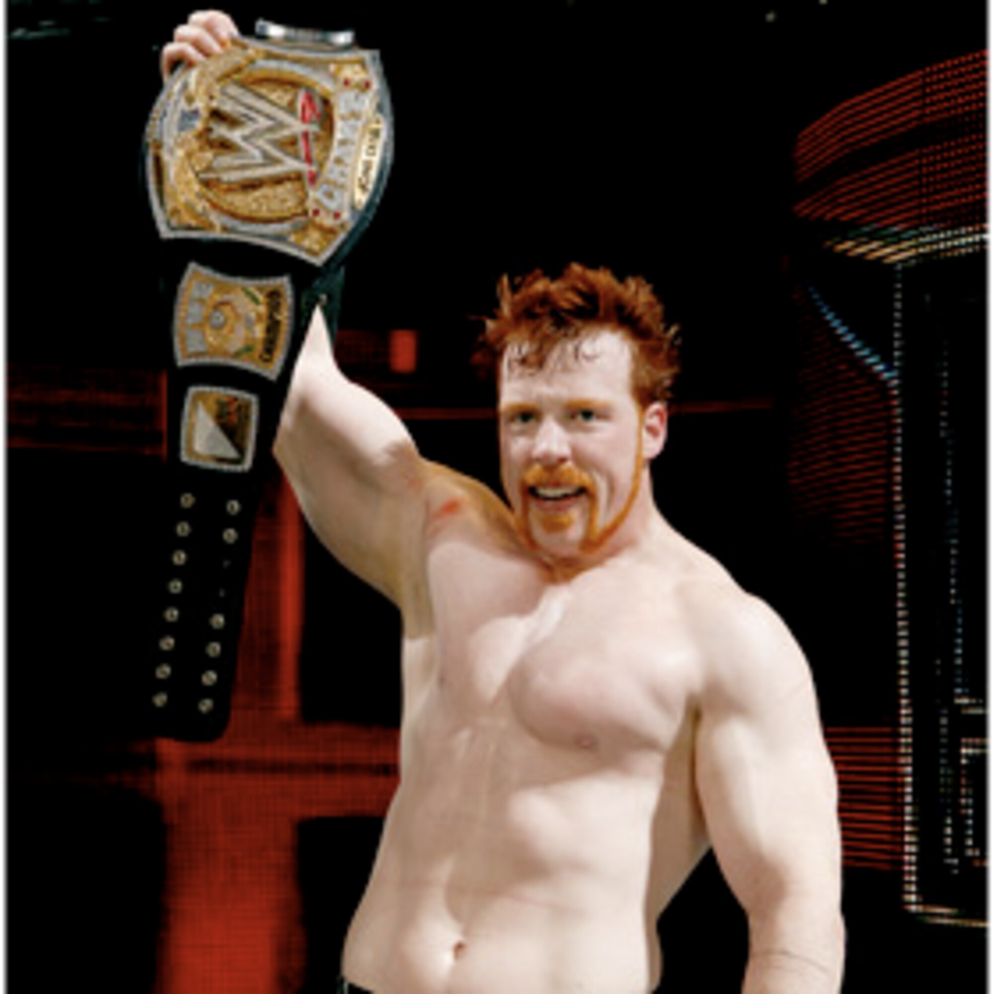 wwe champion 2010