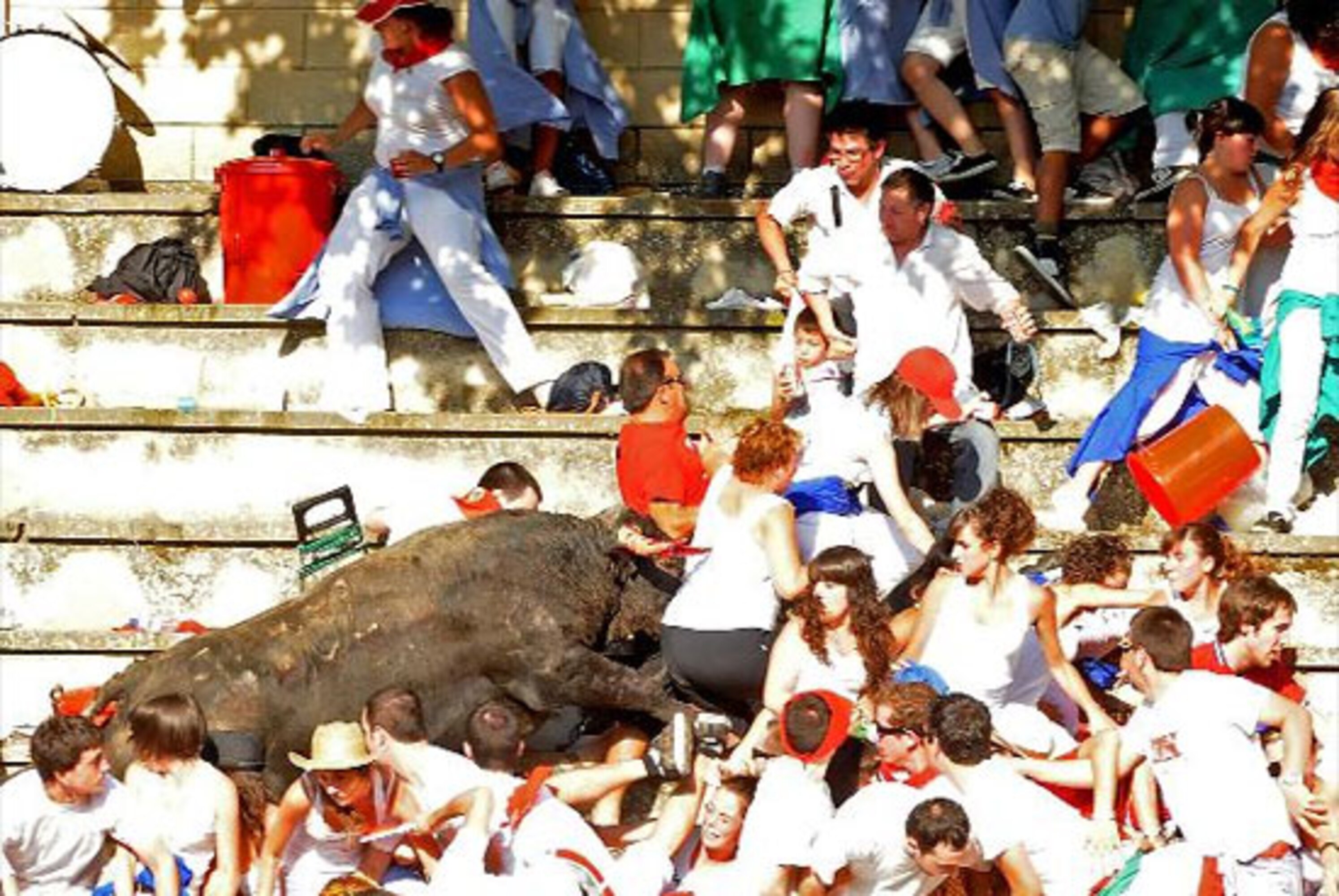 Bull Jumps Into Crowd Video: 10 Reasons Bullfighting Is the Worst Sport