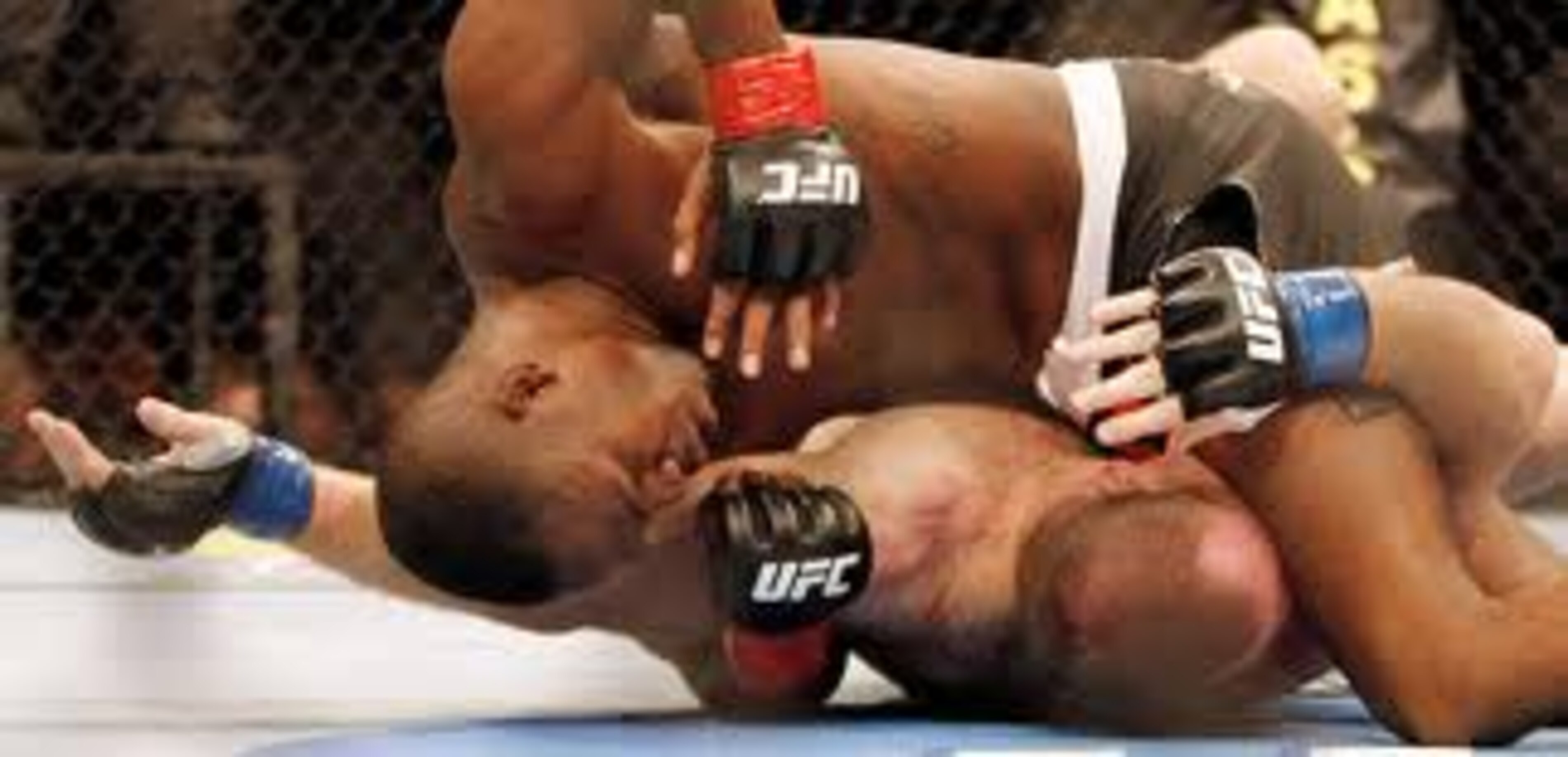 MMA 2010 Fighter of the Year: Five Candidates So Far