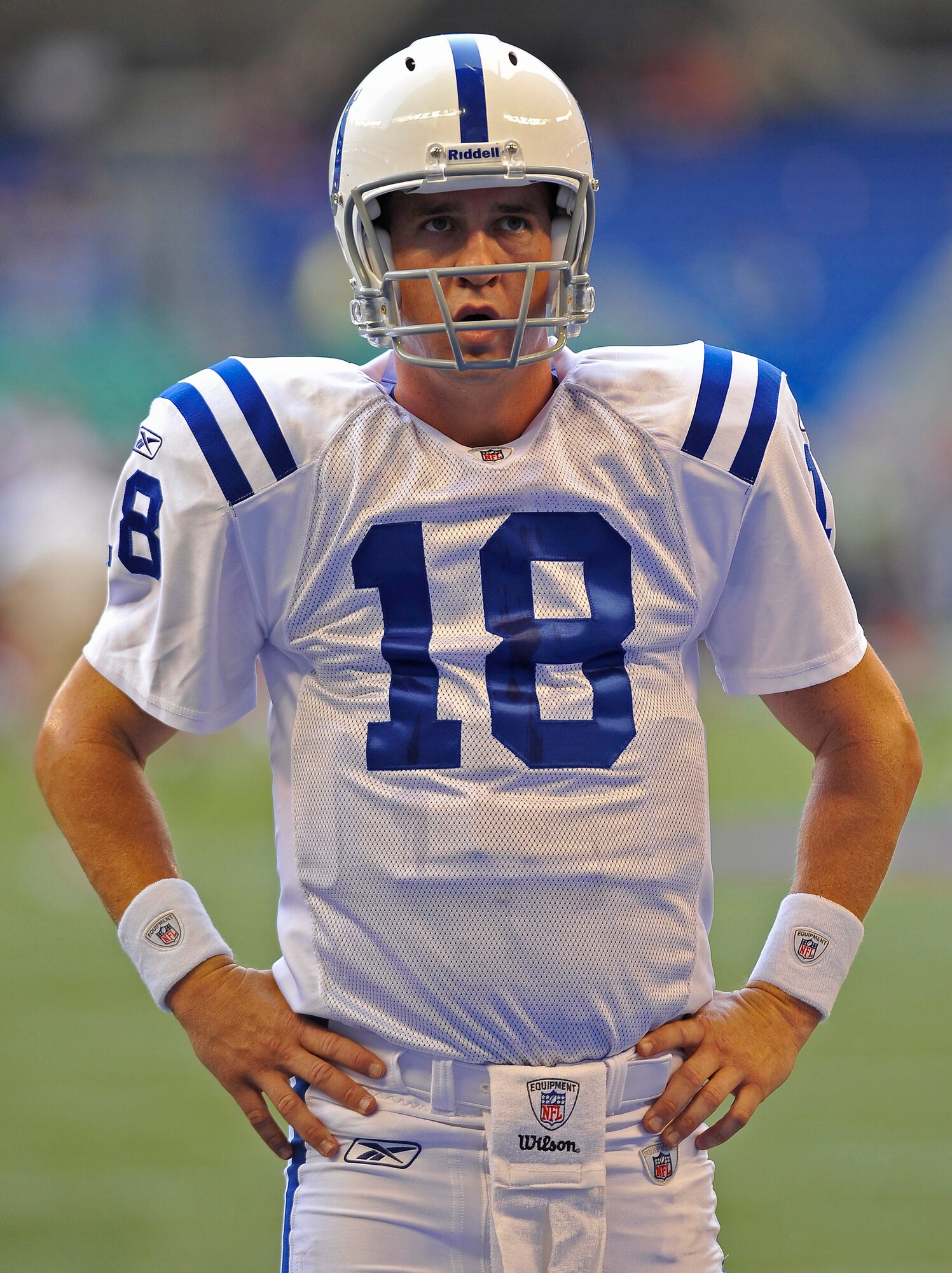 2010 NFL Season: AFC South Preview