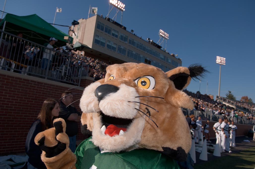 Mascot Fights: Rufus Bobcat, Brutus Buckeye, and the Best Battles Ever
