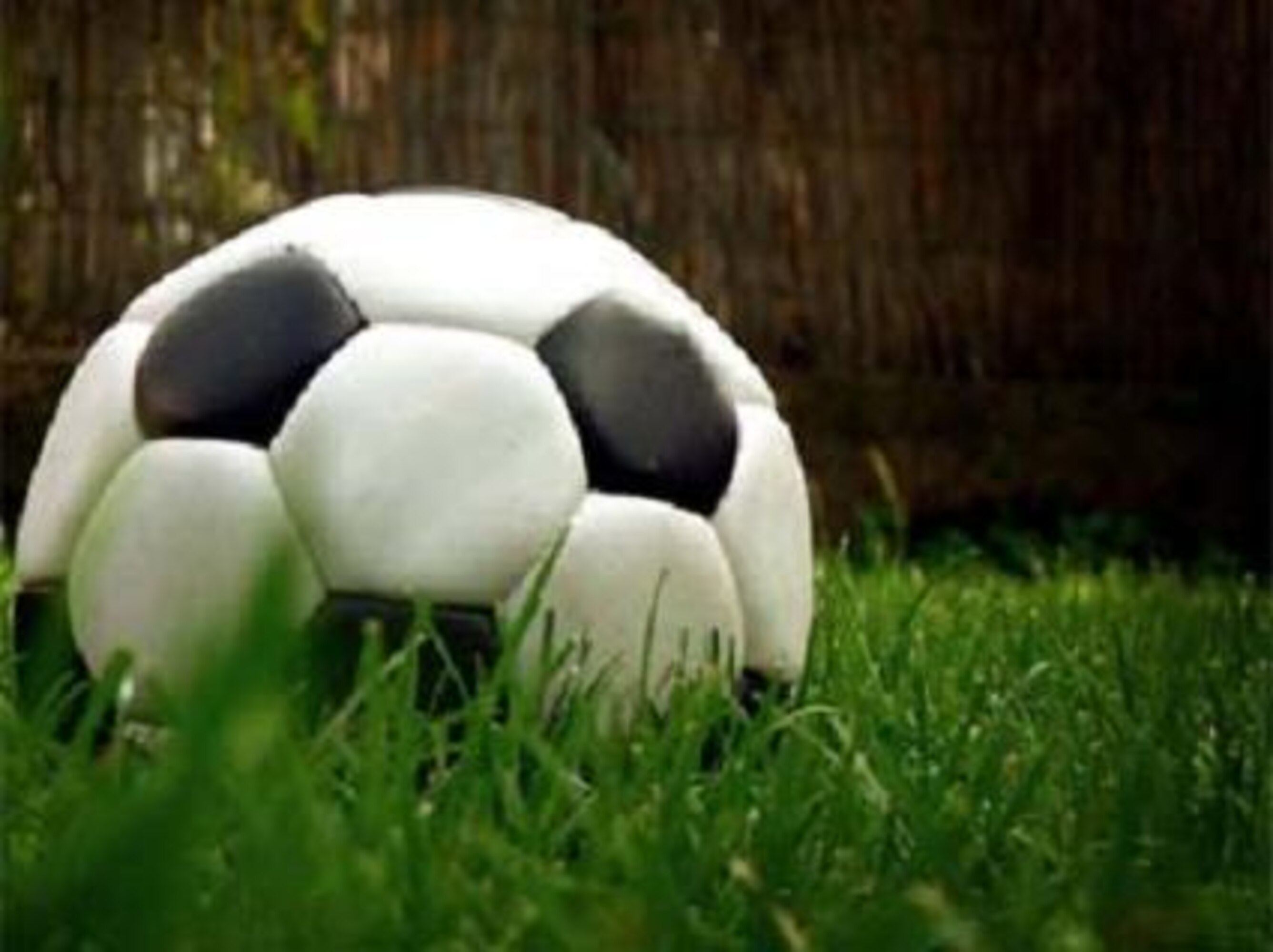 European Football's 7 Surprise Teams