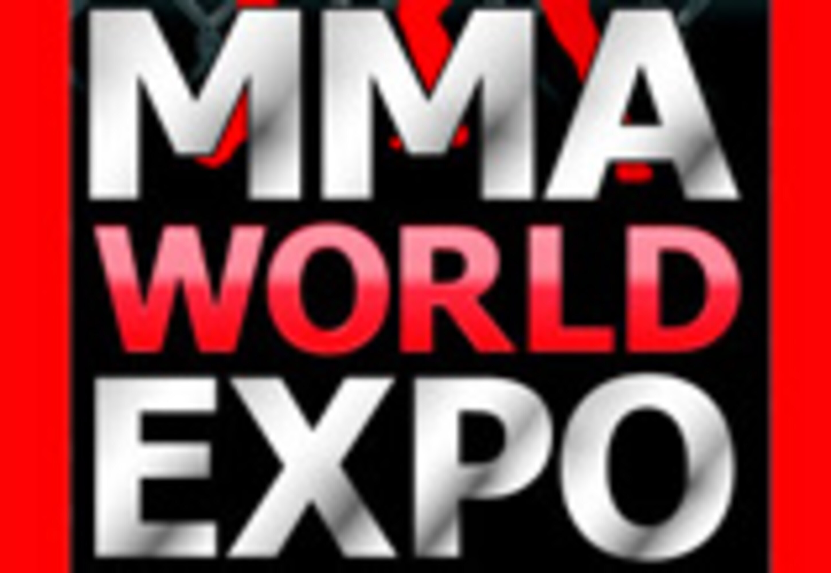 Mixed Martial Arts Hits NYC: MMA World Expo Recap