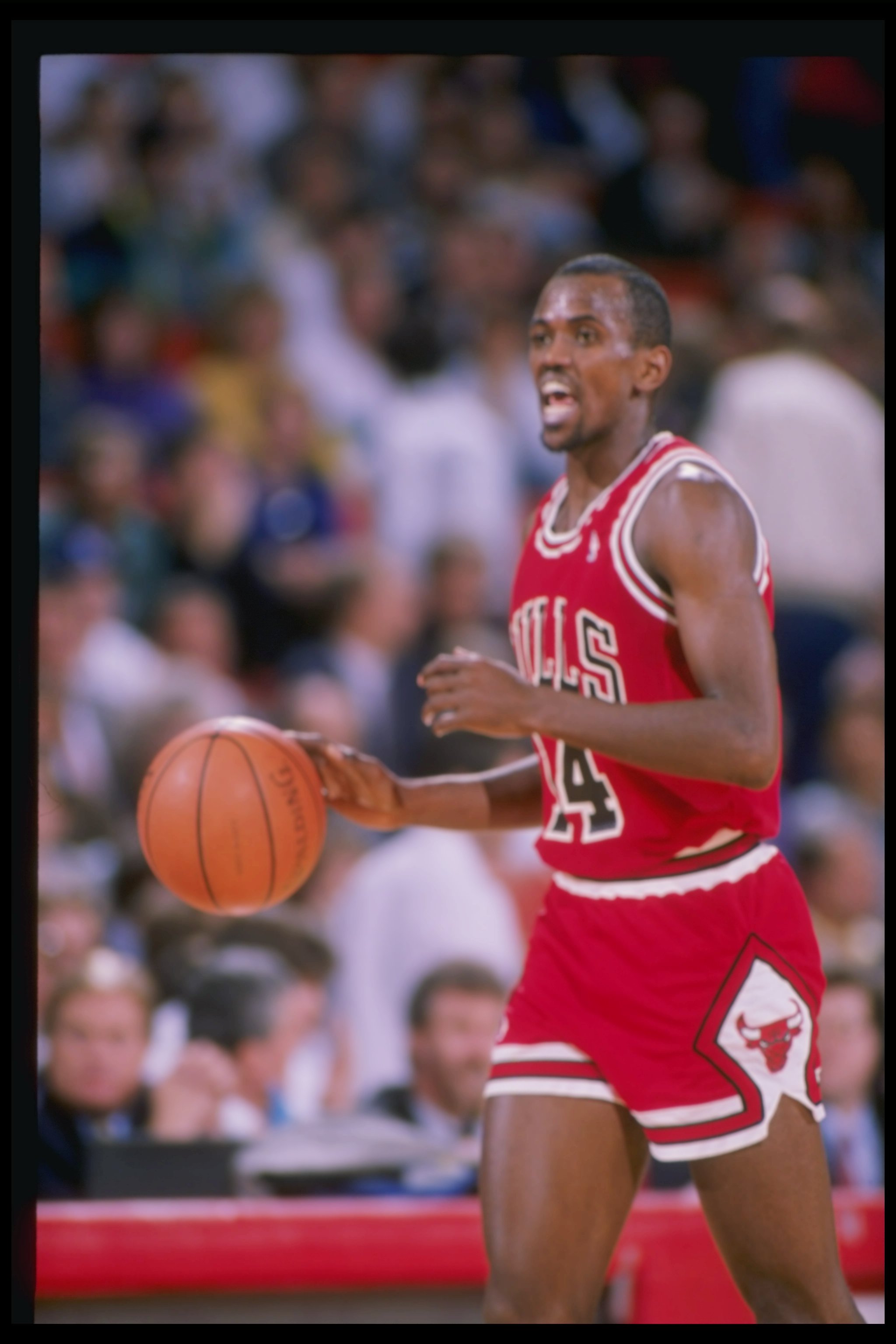 Chicago Bulls: Michael Jordan and the 50 Greatest Bulls of All Time