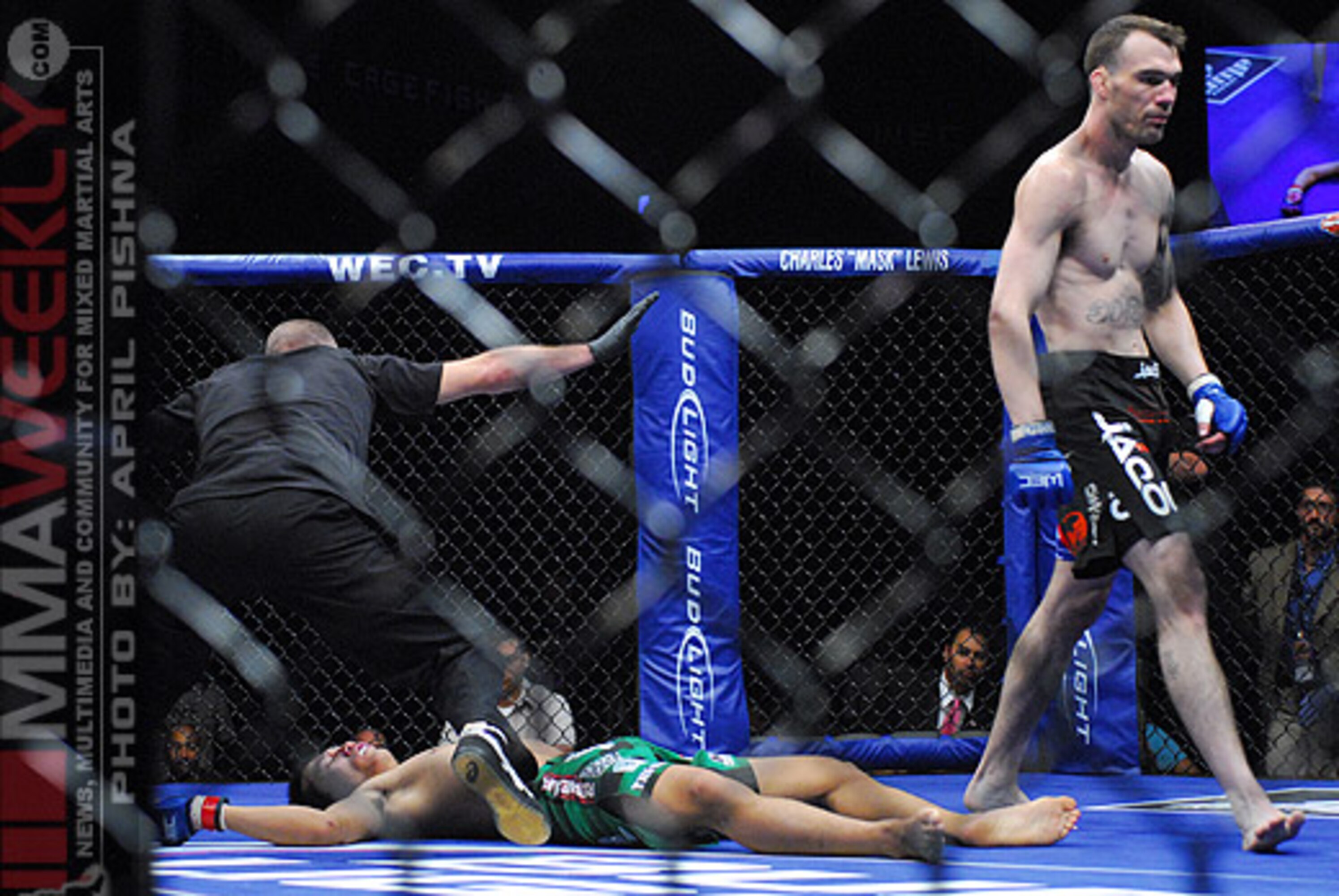 MMA: Top 10 Knockouts of 2010