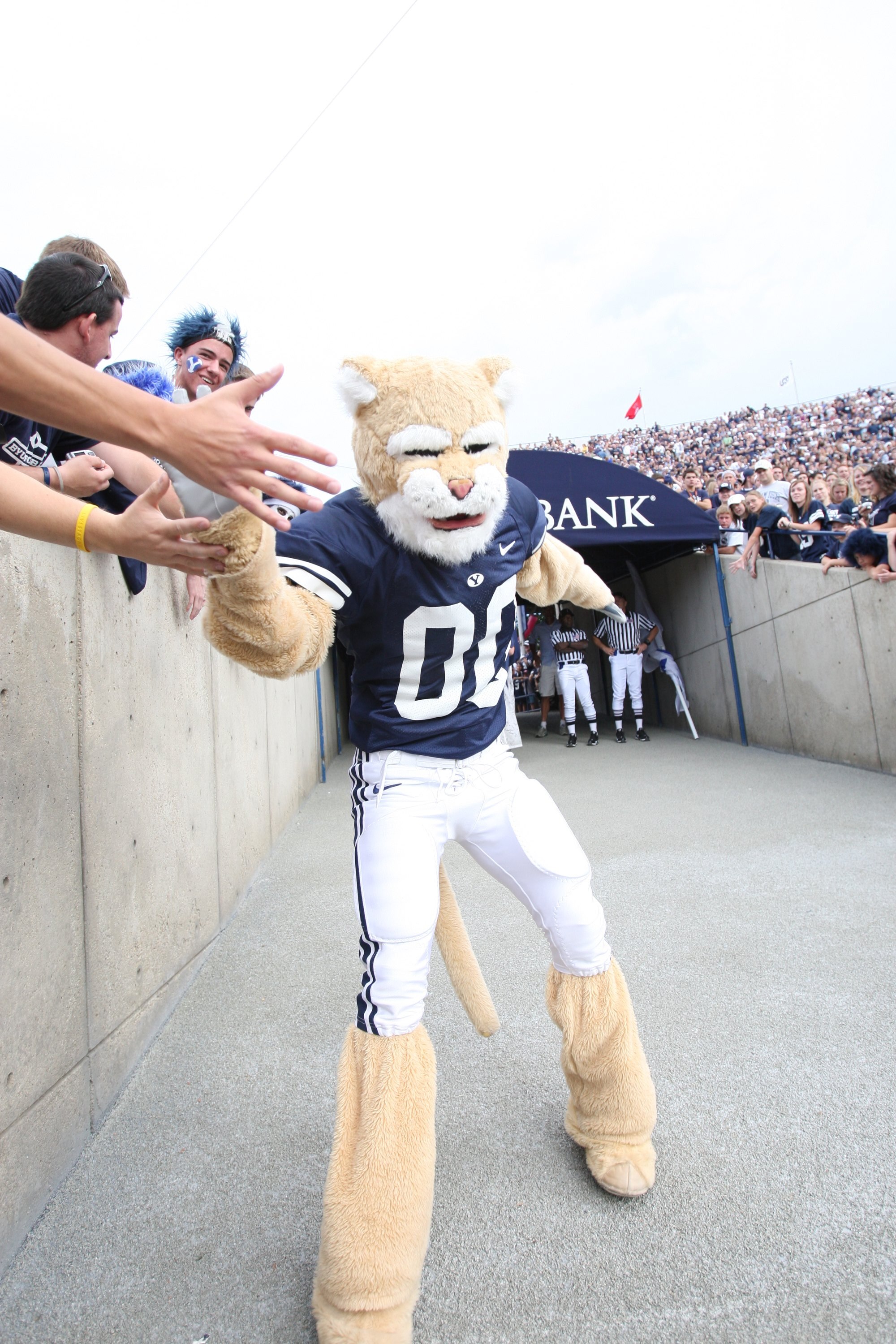 College Football 2011: The 50 Best Mascots in College Football