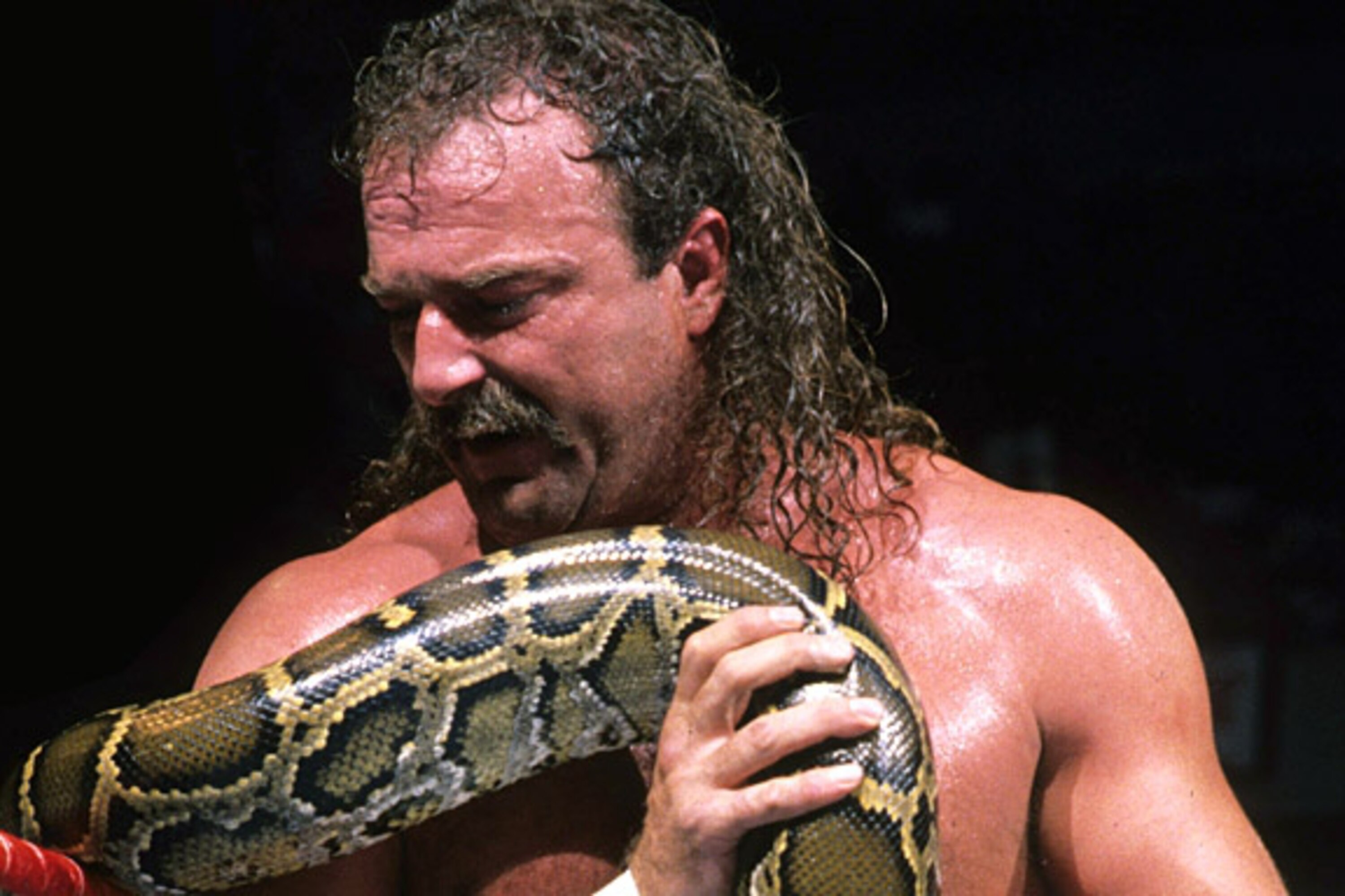 Jake Roberts' Return Is Chance for WWE to Tell a Great Story of Redemption