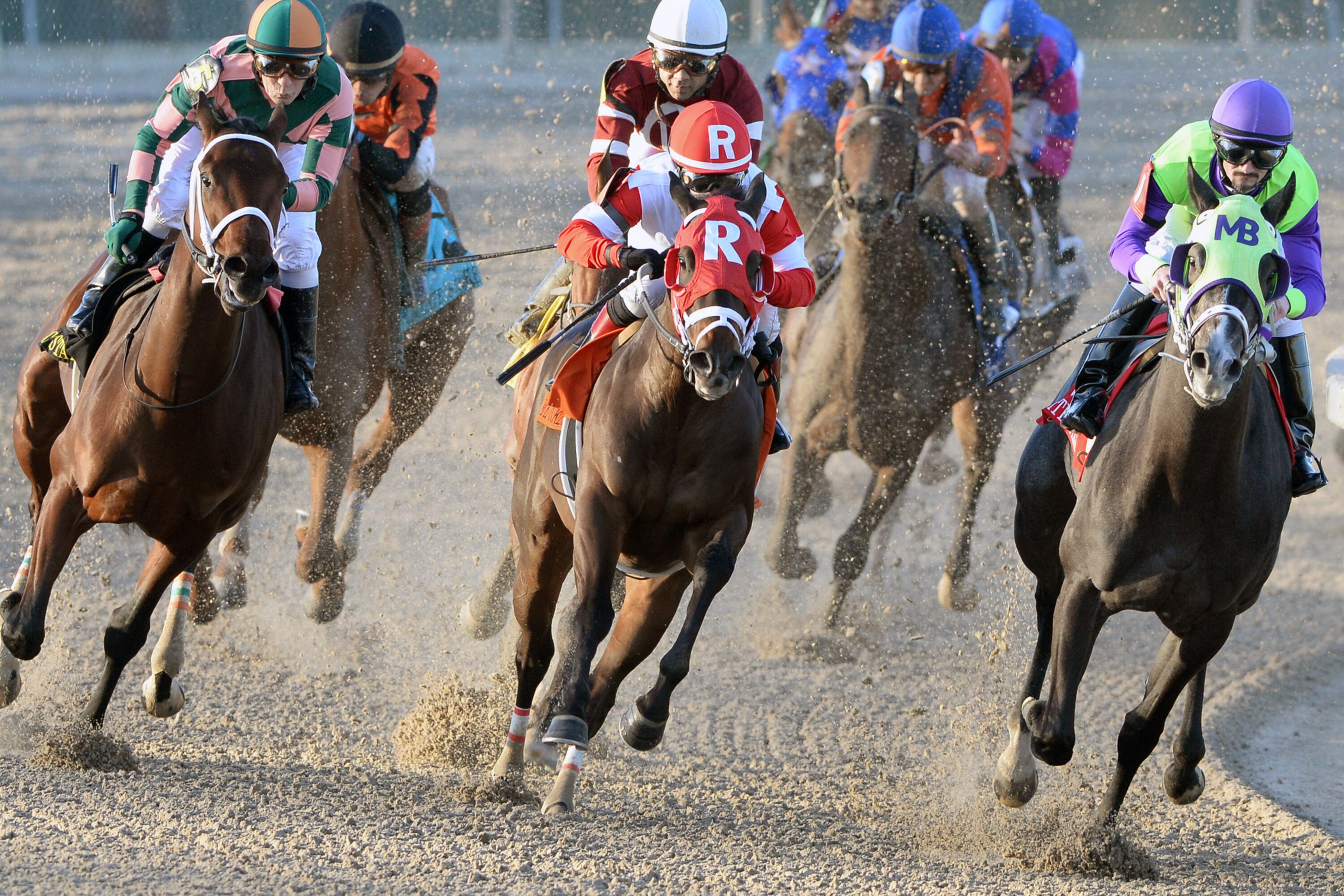 Louisiana Derby 2014 Results: Winner, Payouts and Order of Finish