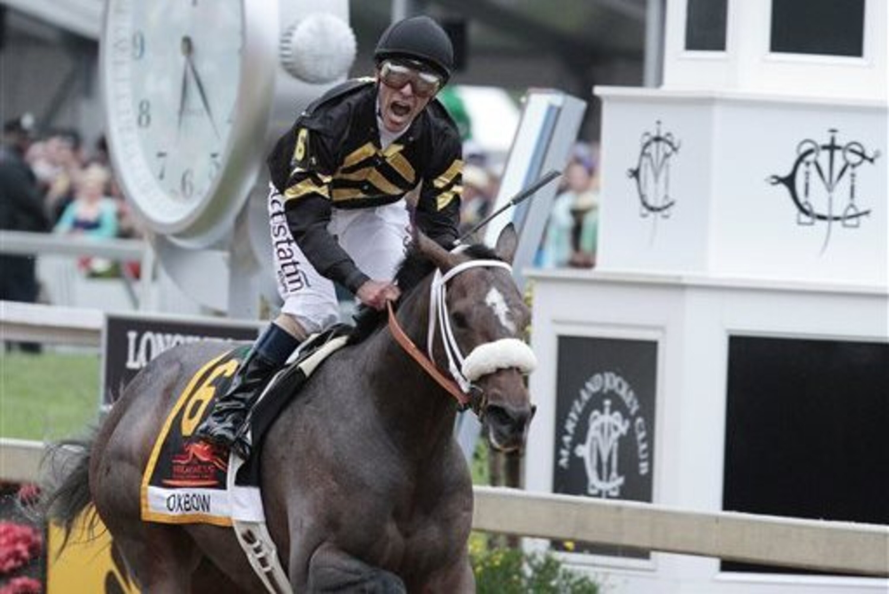 Preakness Entries 2014: Horses in the Field Best Suited for Pimlico