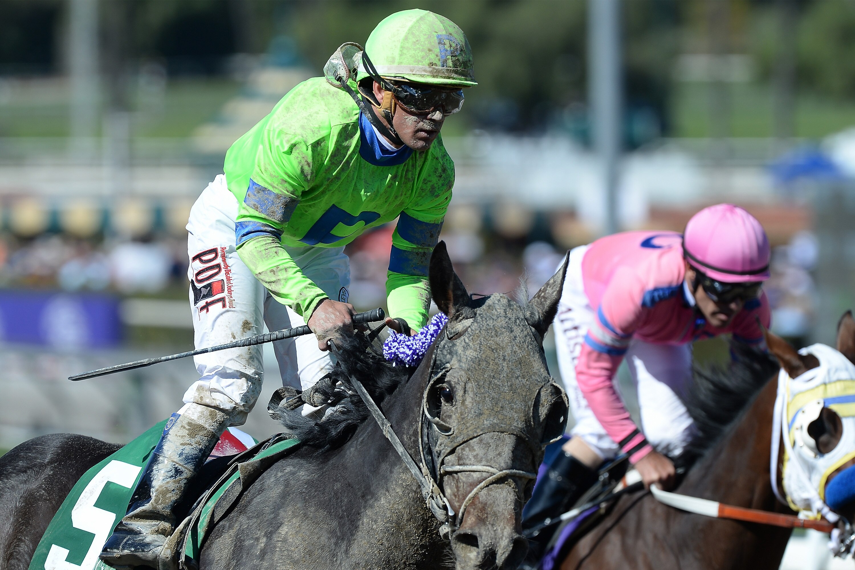 Preakness Picks 2014: Early Payout Projections for Pimlico Field