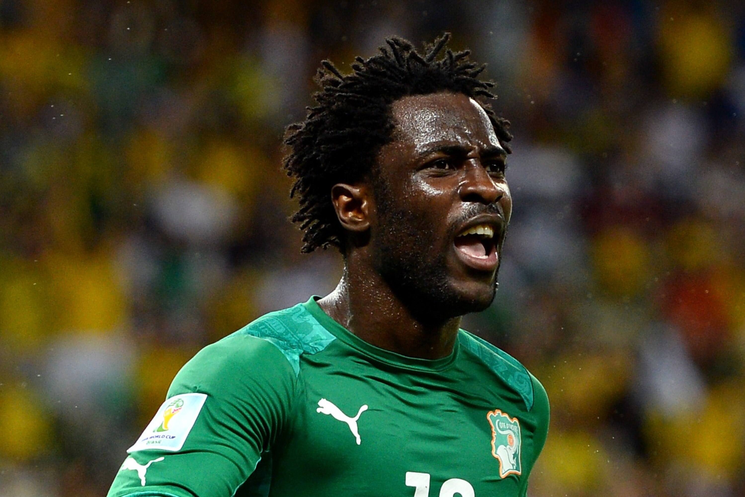 Liverpool Transfer News: Wilfried Bony Buy Would Be Poor Use of ...