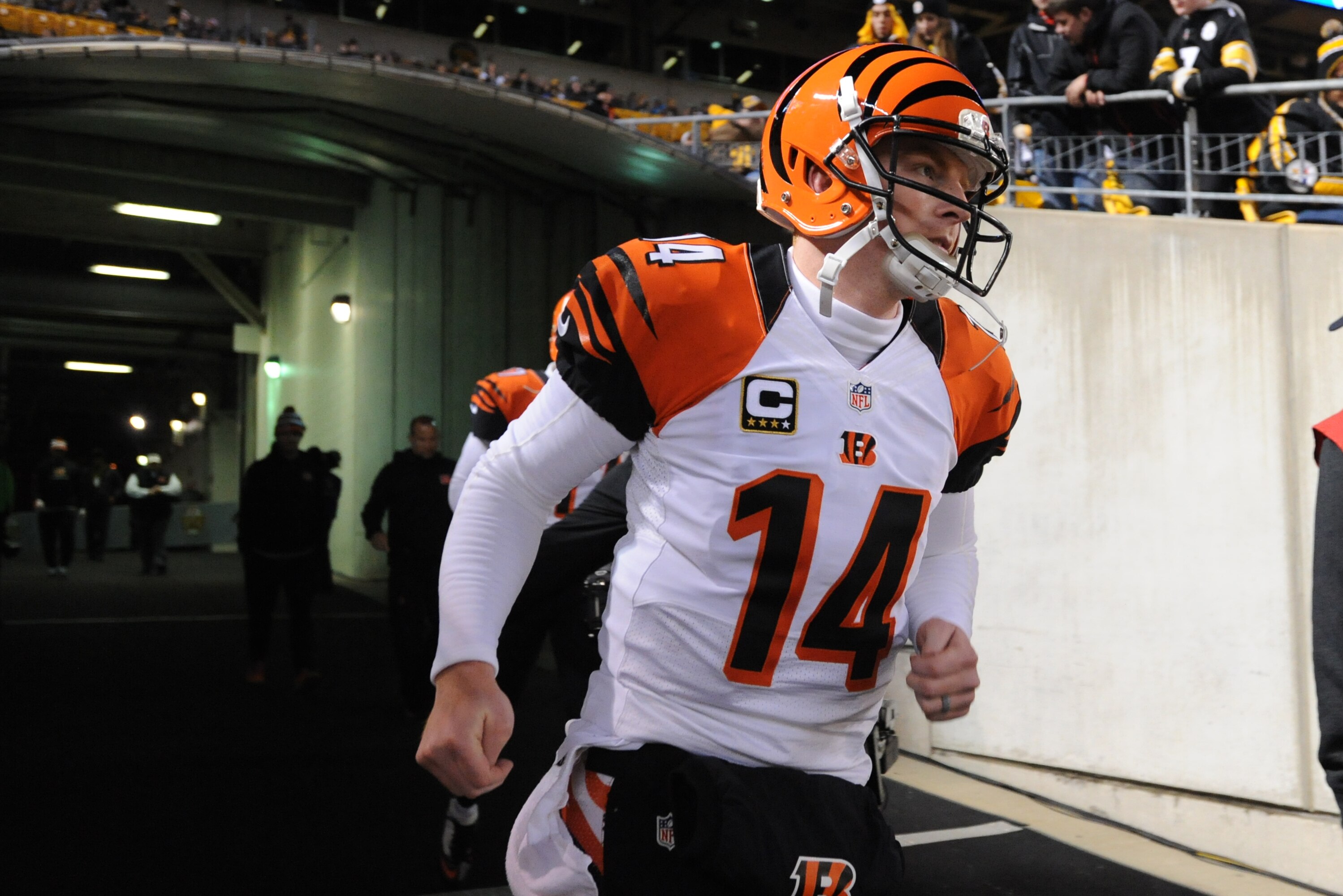 NFL Playoff Bracket 2015: Postseason Format and Super Bowl Odds for All ...