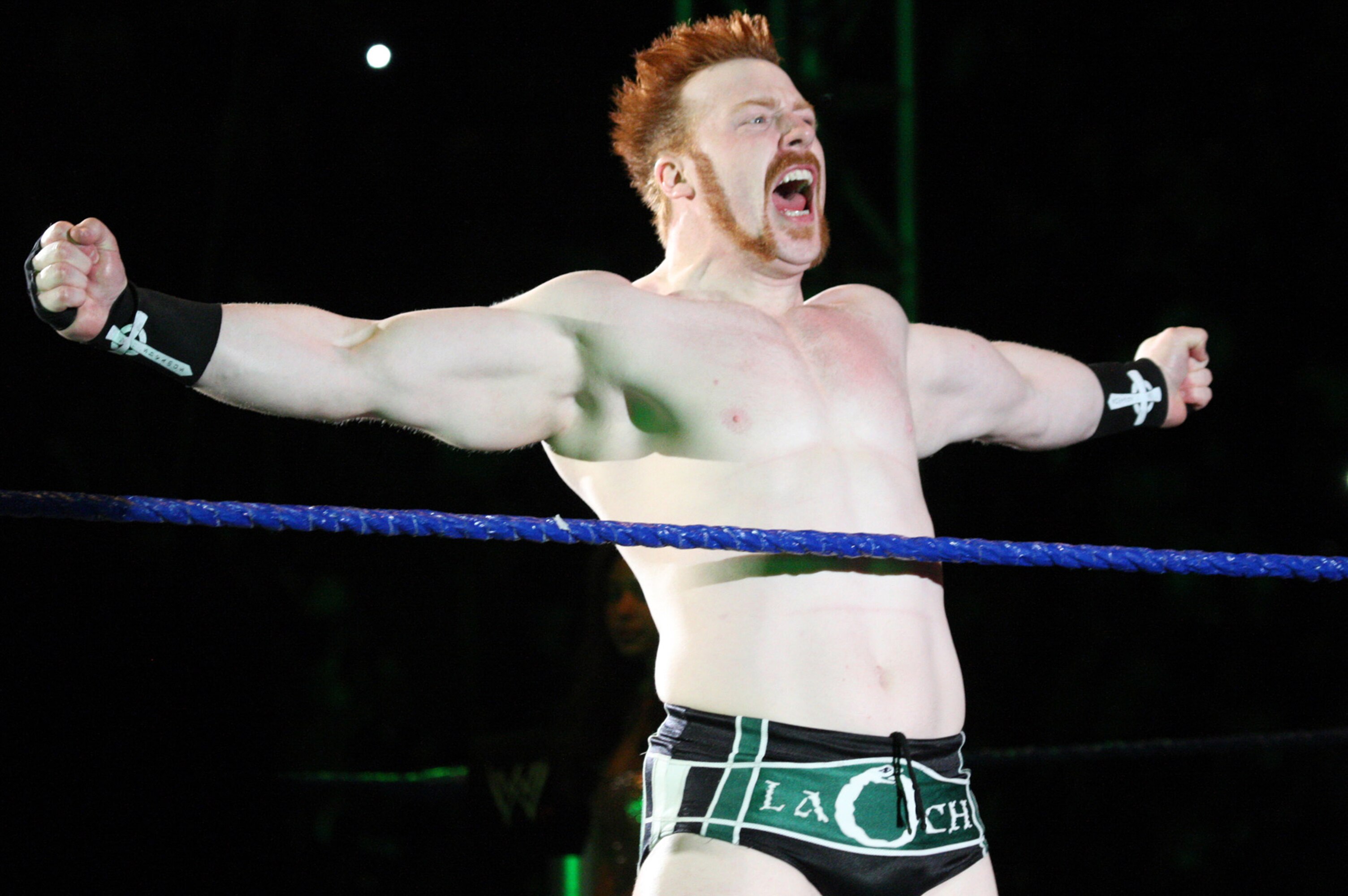 Sheamus Must Return to WWE as New Enforcer for the Authority
