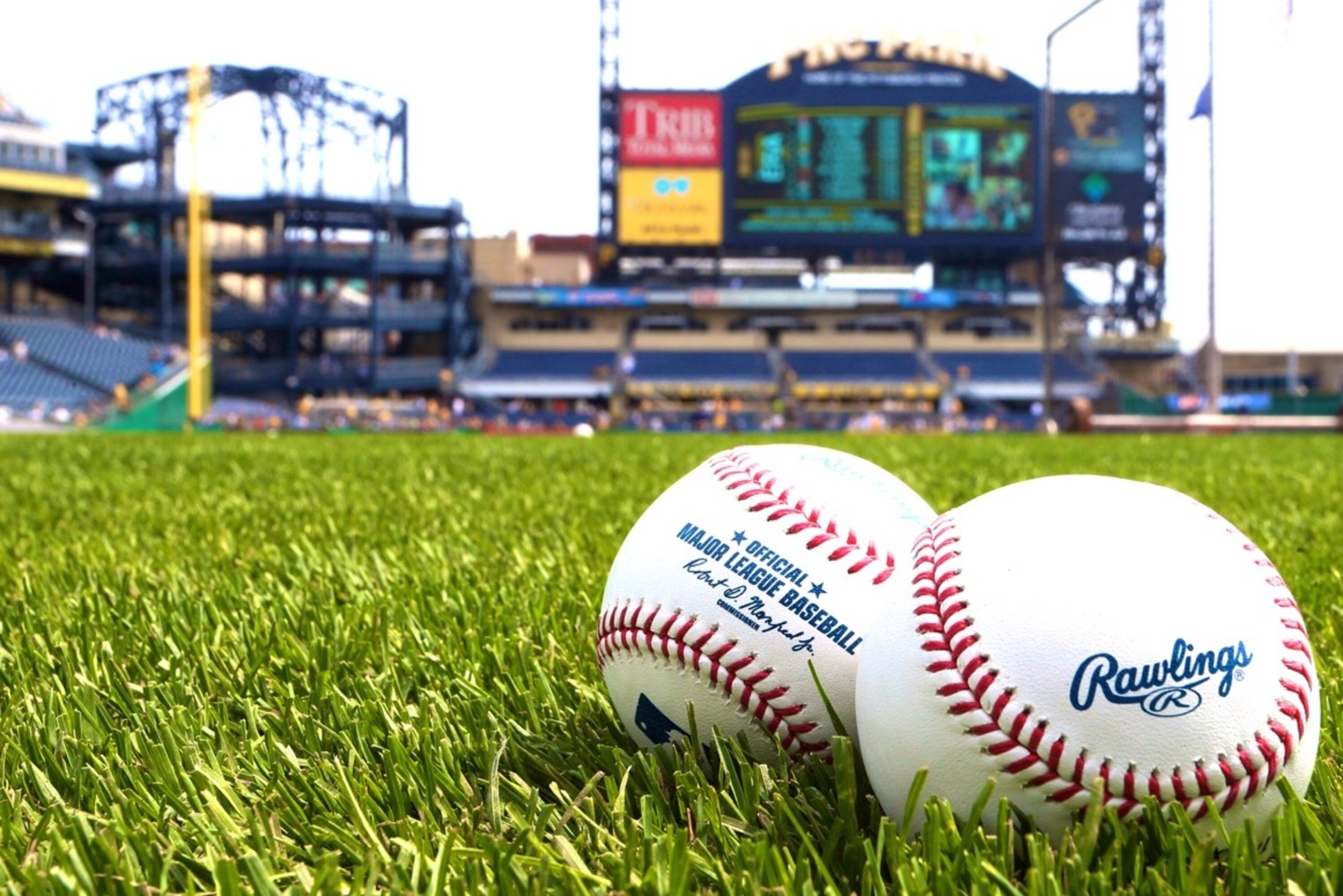 Cubs vs. Pirates Delayed After Foul Ball Struck Fan in Head Behind Home ...