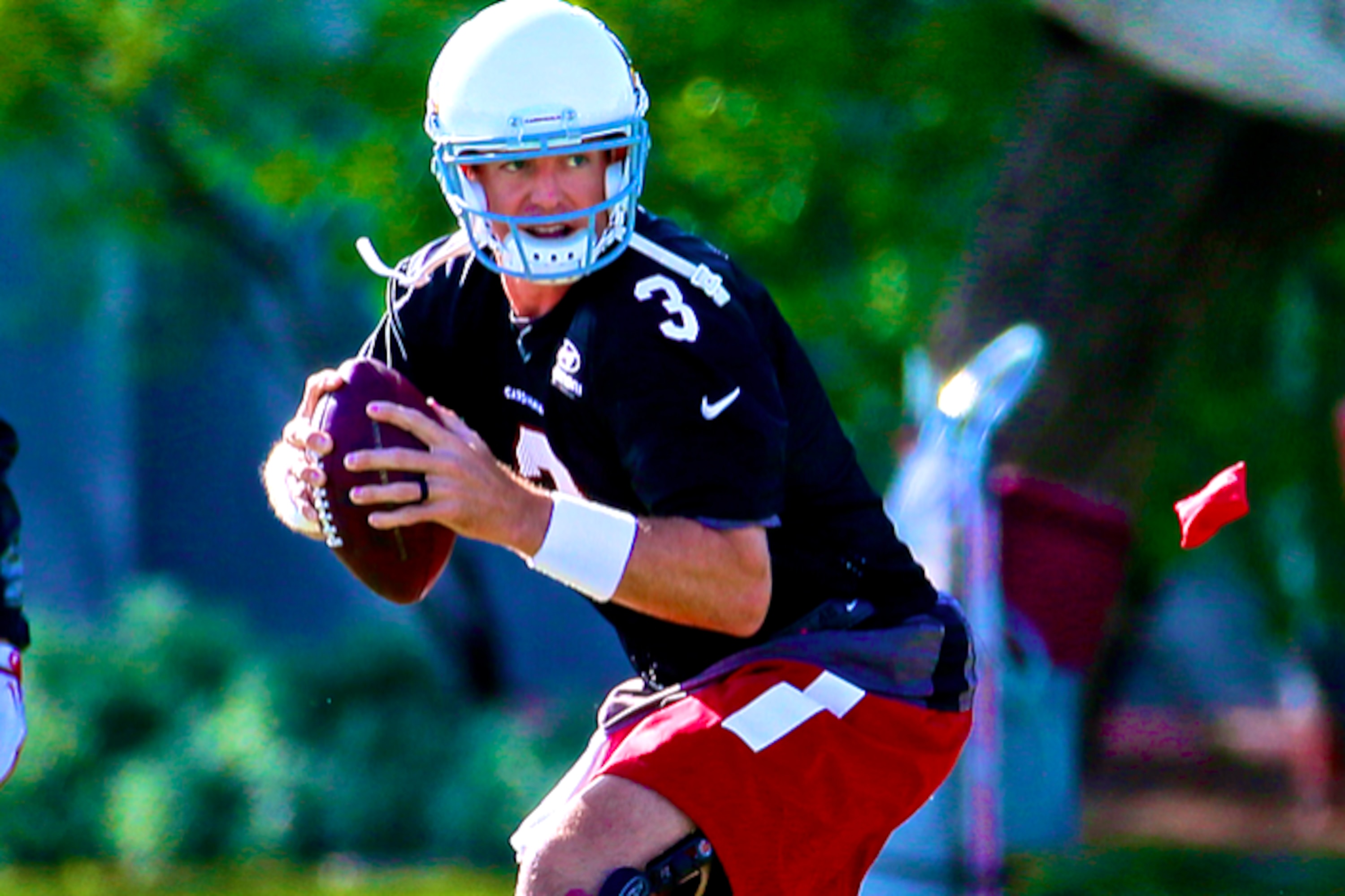 Carson Palmer Injury: Updates on Cardinals Star's Recovery from ACL Surgery