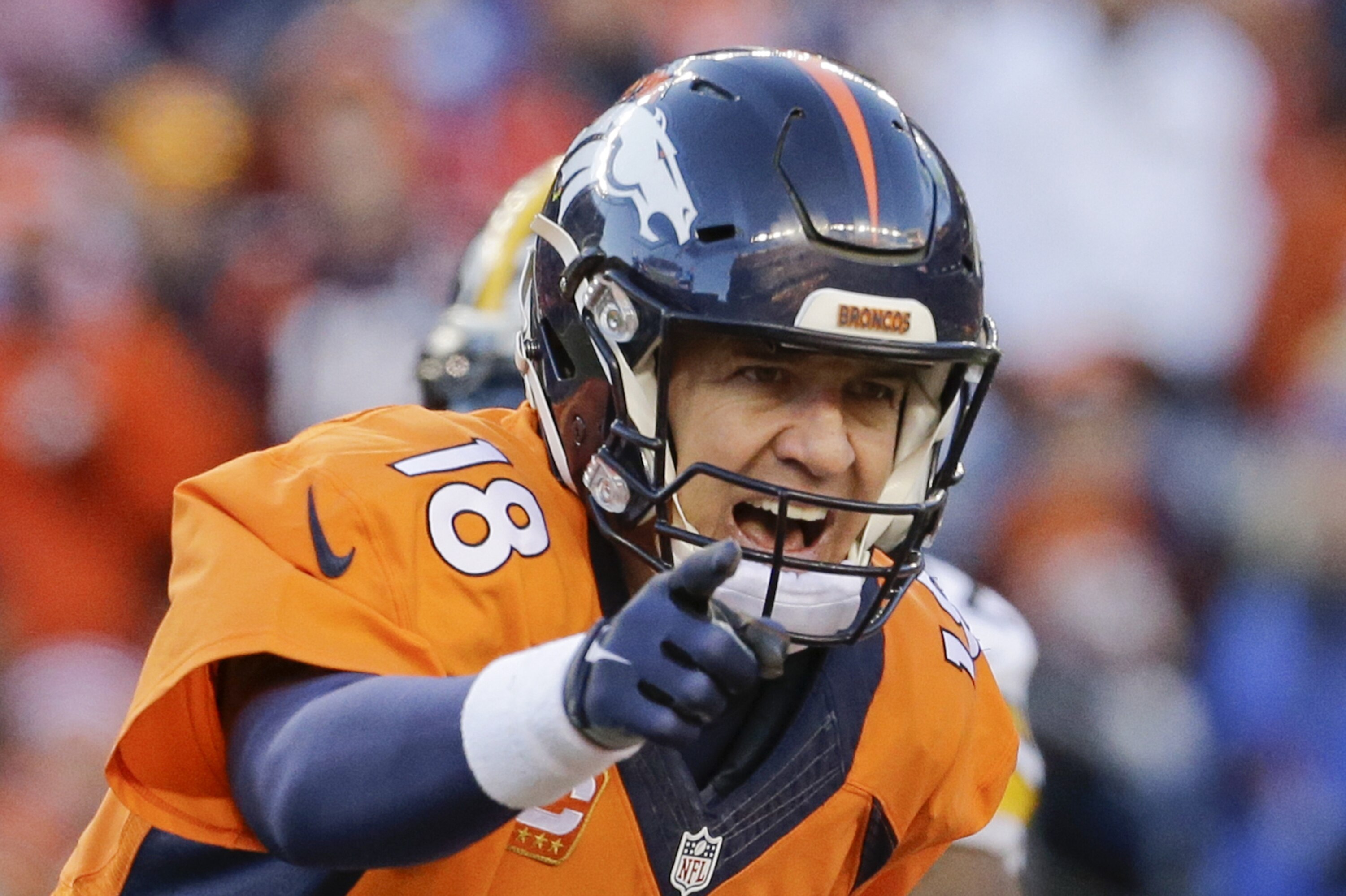 NFL Playoffs 2016: Schedule, Bracket and TV Info for Conference ...