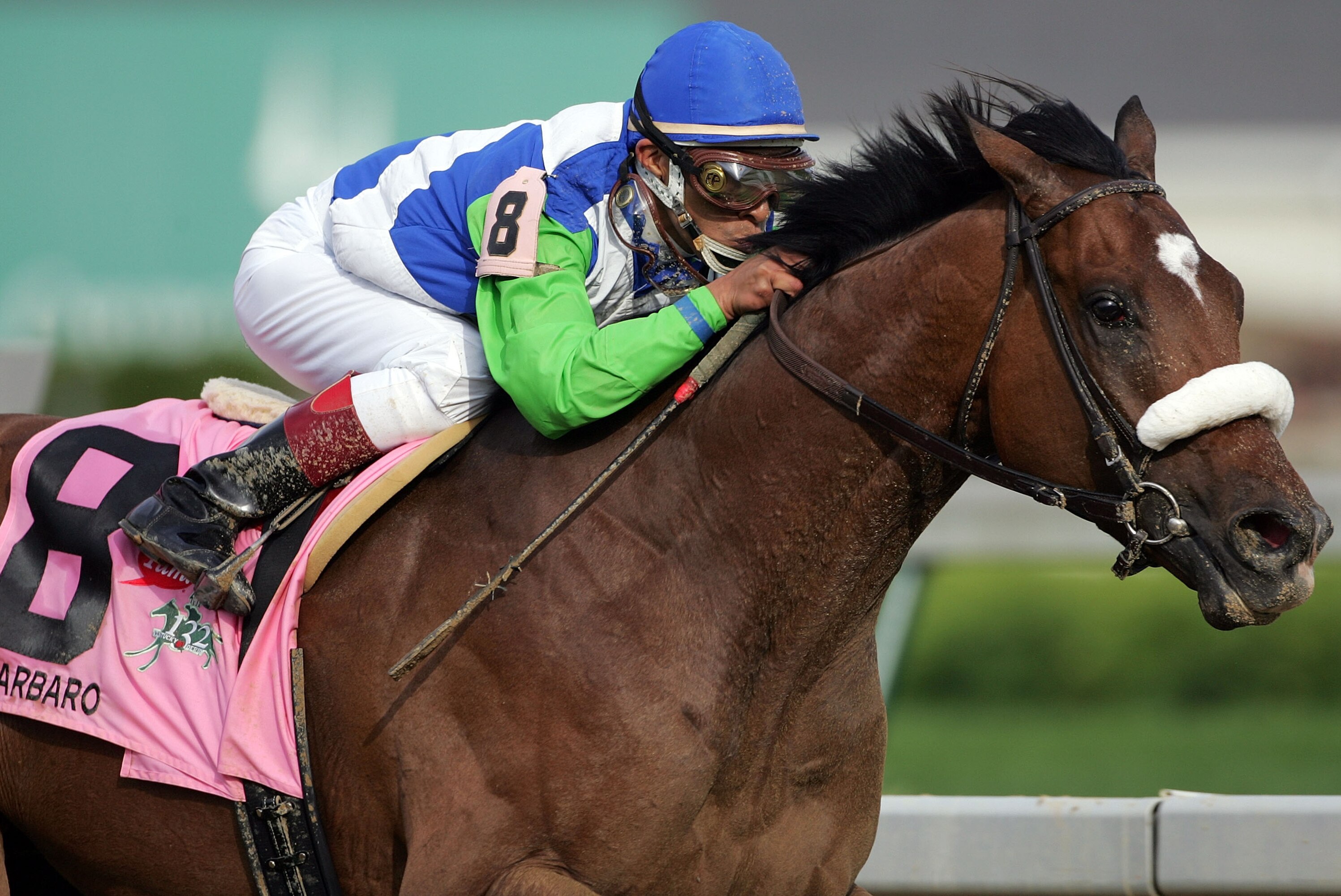 The Triumph and Tragedy of Barbaro's Fateful Triple Crown Run, 10 Years ...