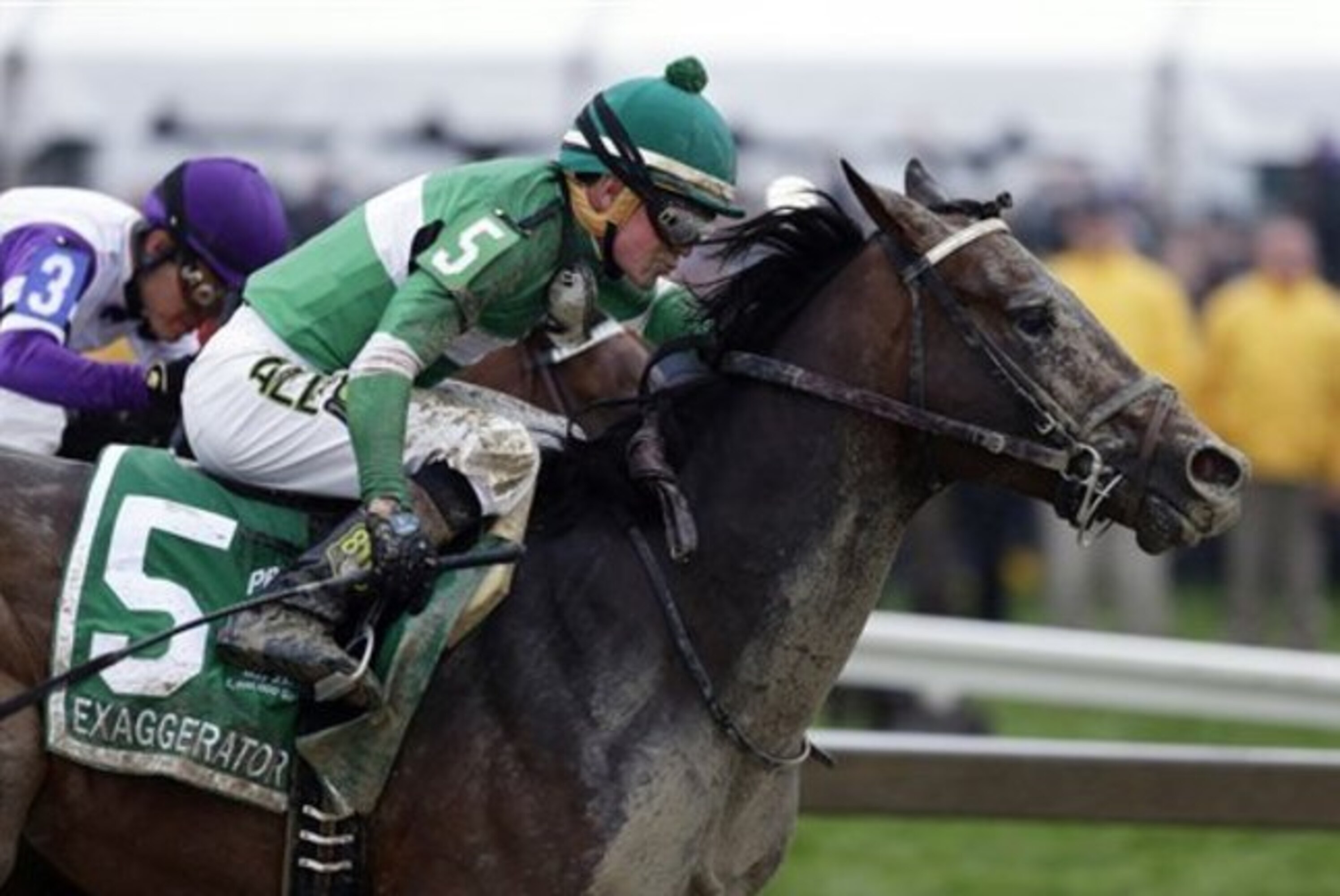 Haskell Invitational 2016: Date, Post Positions, Odds, Prize Money and More