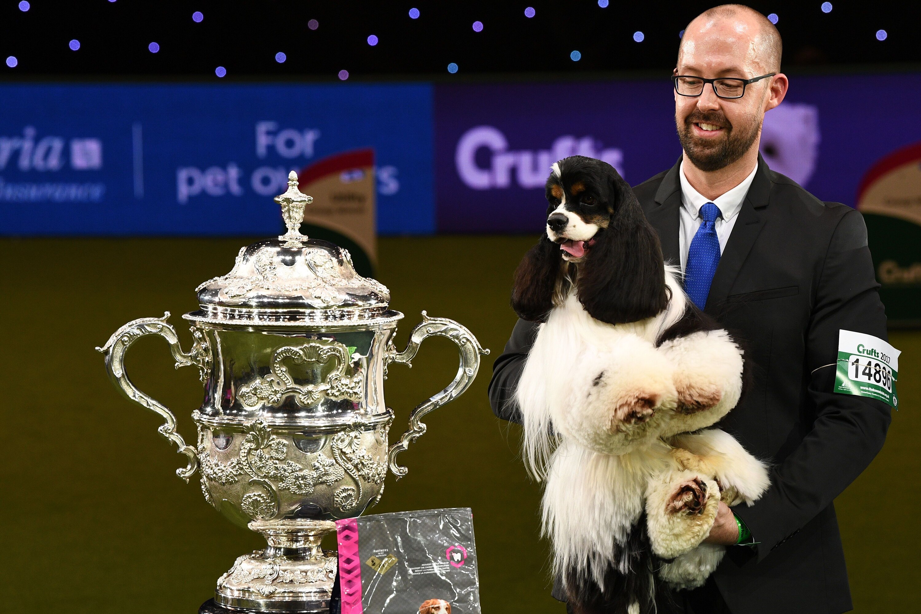 Crufts Dog Show Results 2017: Best of Show Title and Sunday Winners