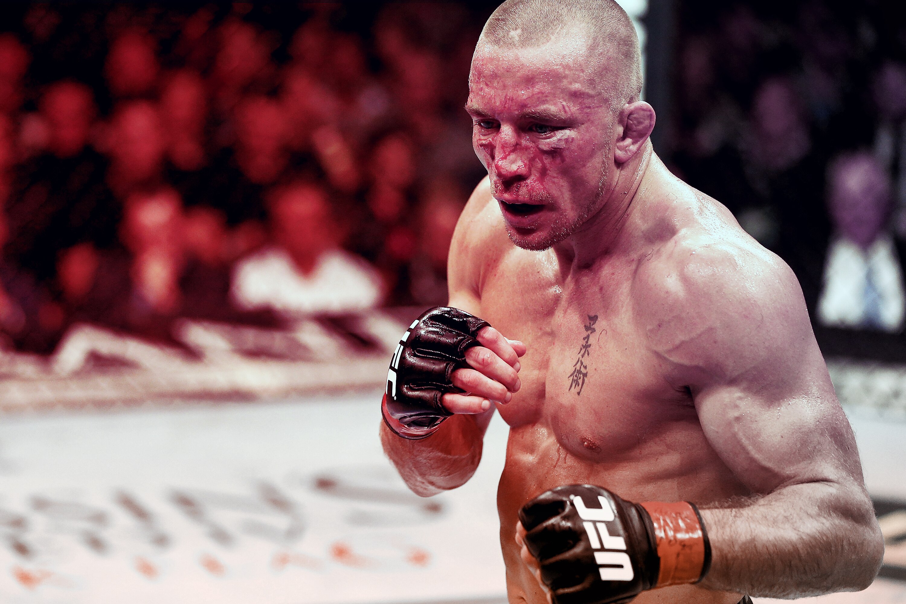 GSP Back
