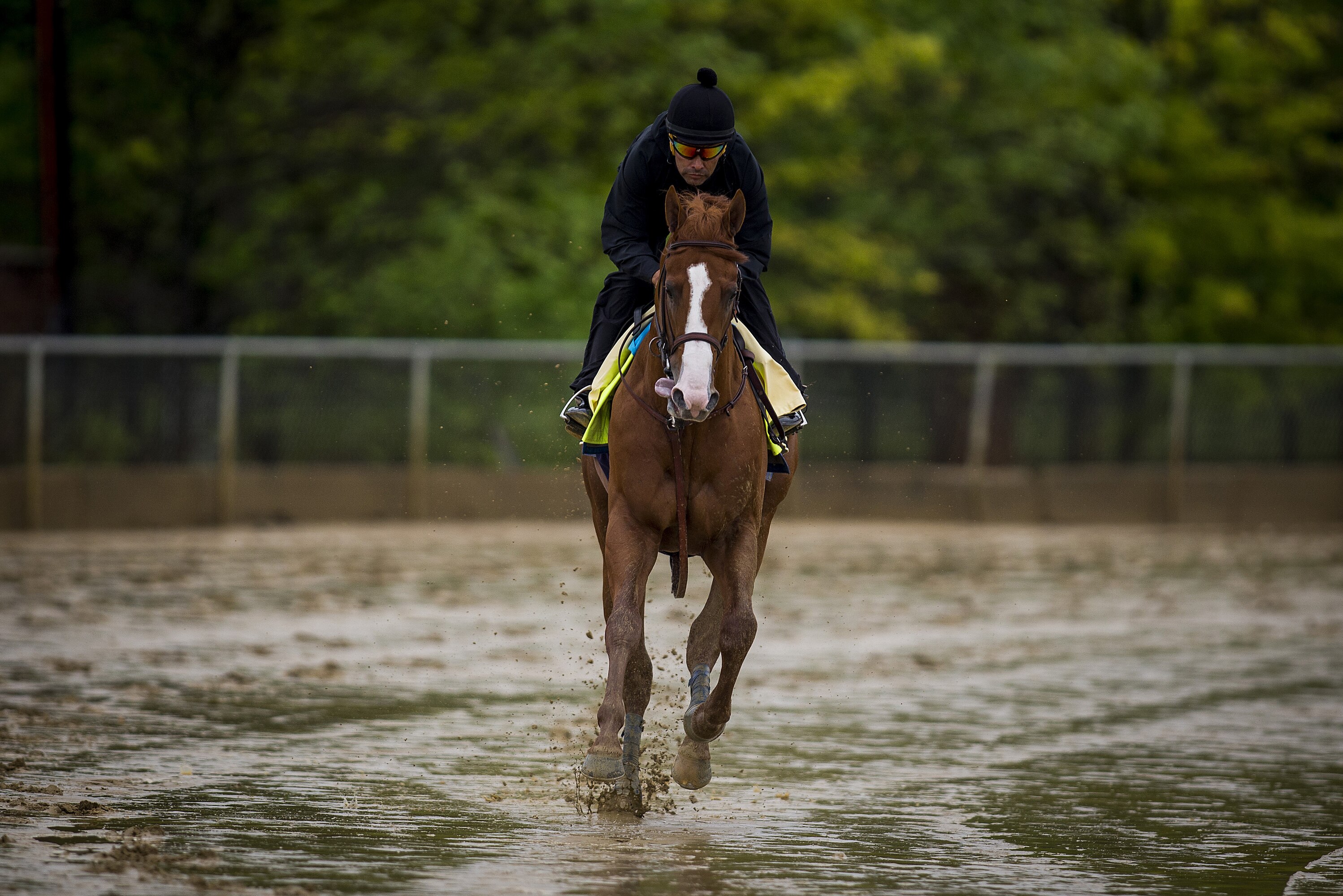 Preakness 2018 Lineup: Full Race Guide for All Horses and Jockeys