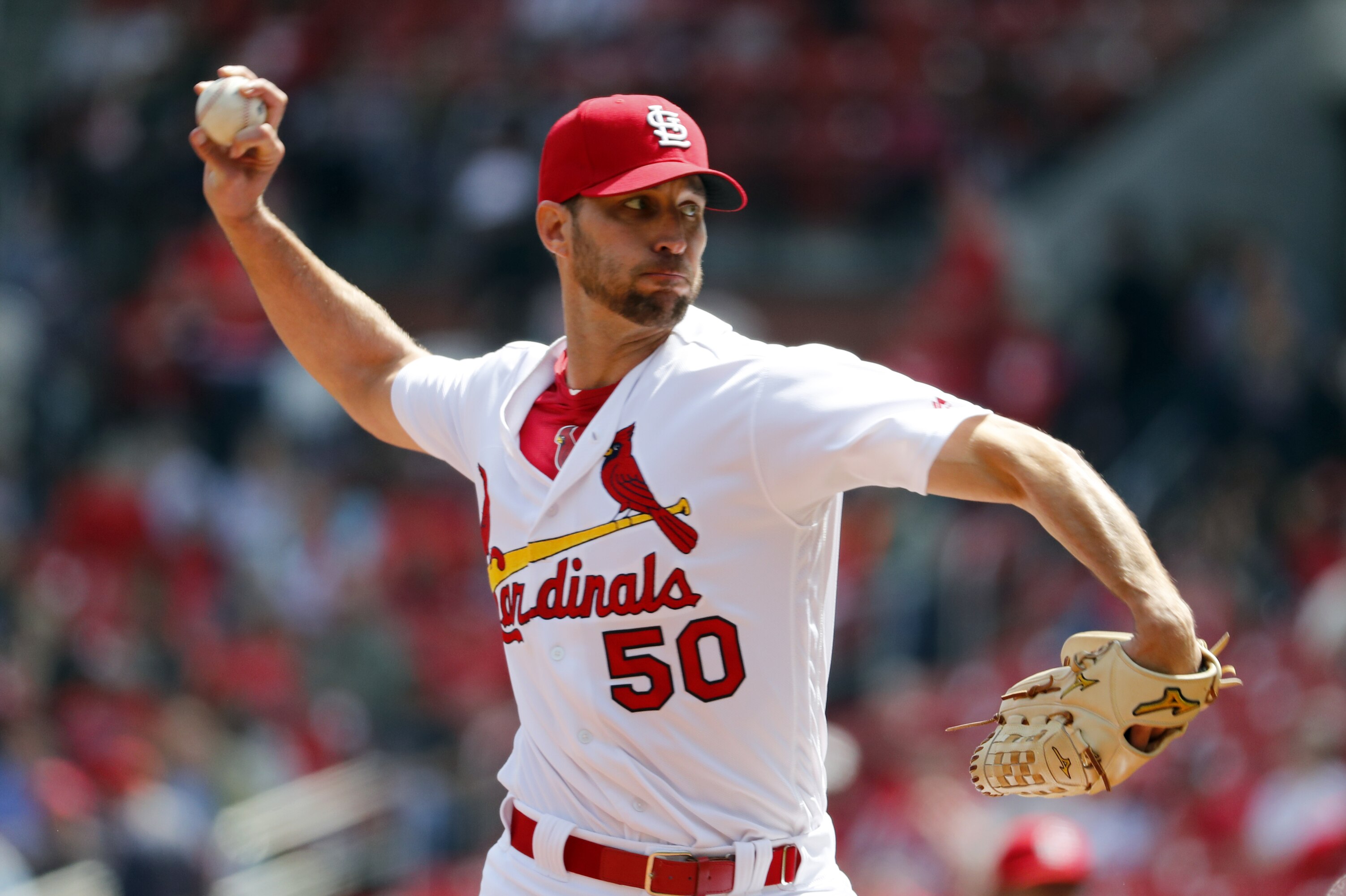 Adam Wainwright to Rejoin Cardinals Next Monday After Elbow Injury