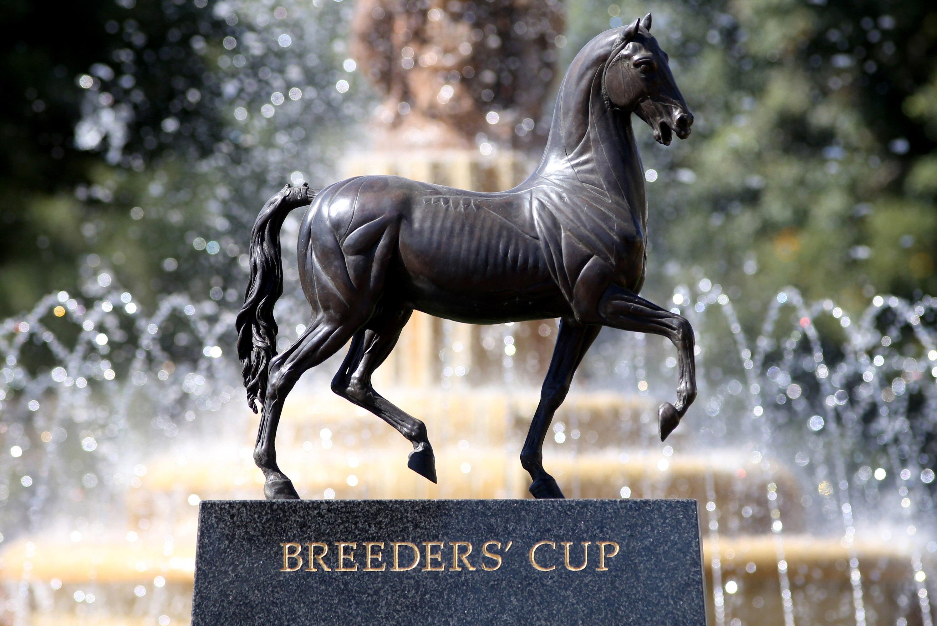Breeders' Cup 2019: TV Schedule, Dates, Race Times, Weather Forecast ...