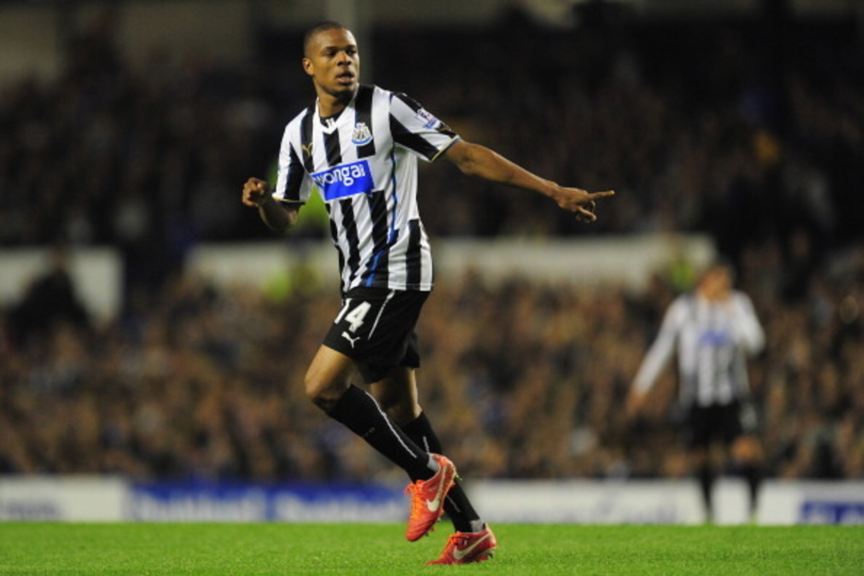 5 Reasons Why Loic Remy Is Newcastle United's Most Important Player
