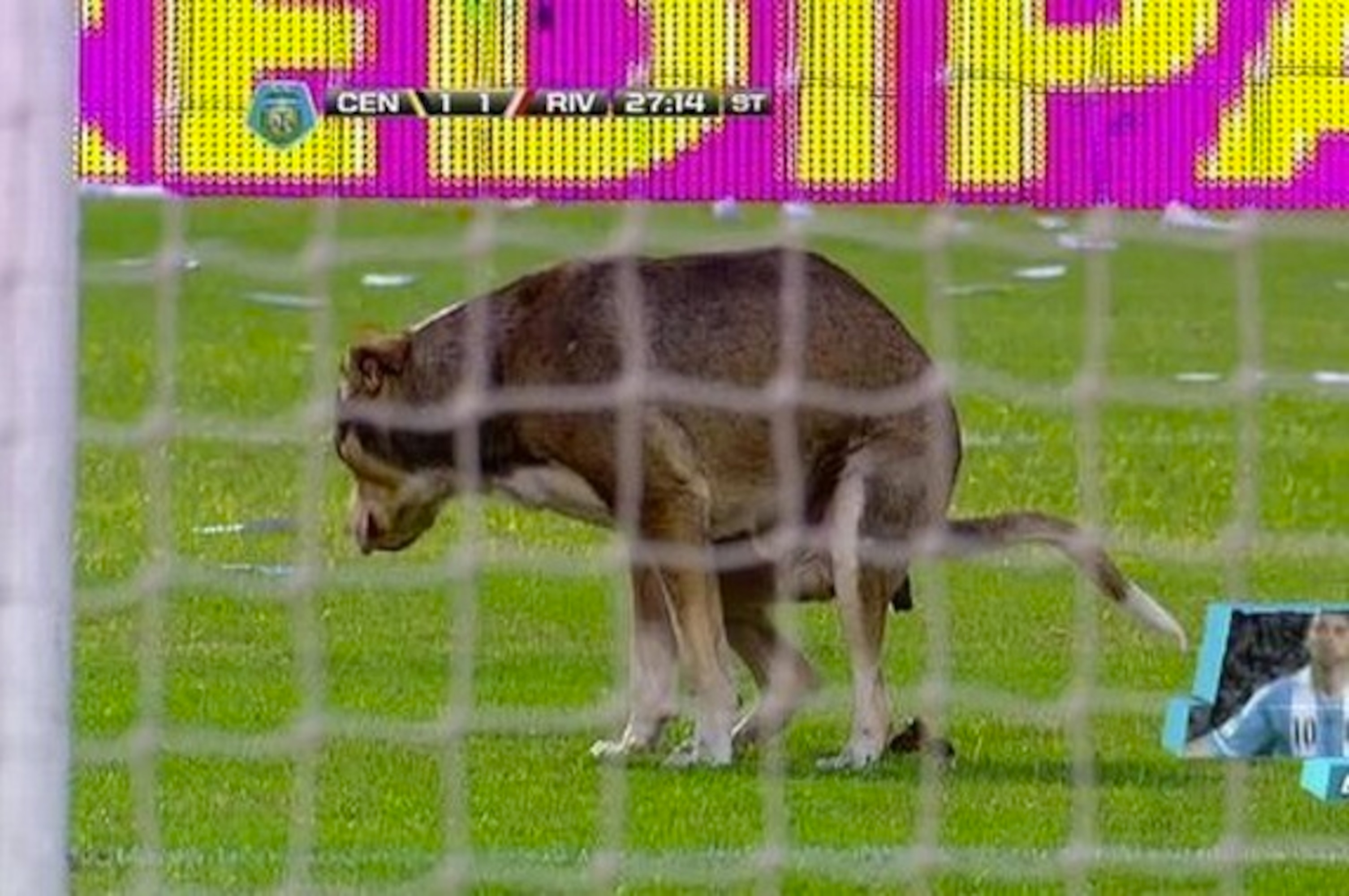 The 10 Craziest Pitch Invaders