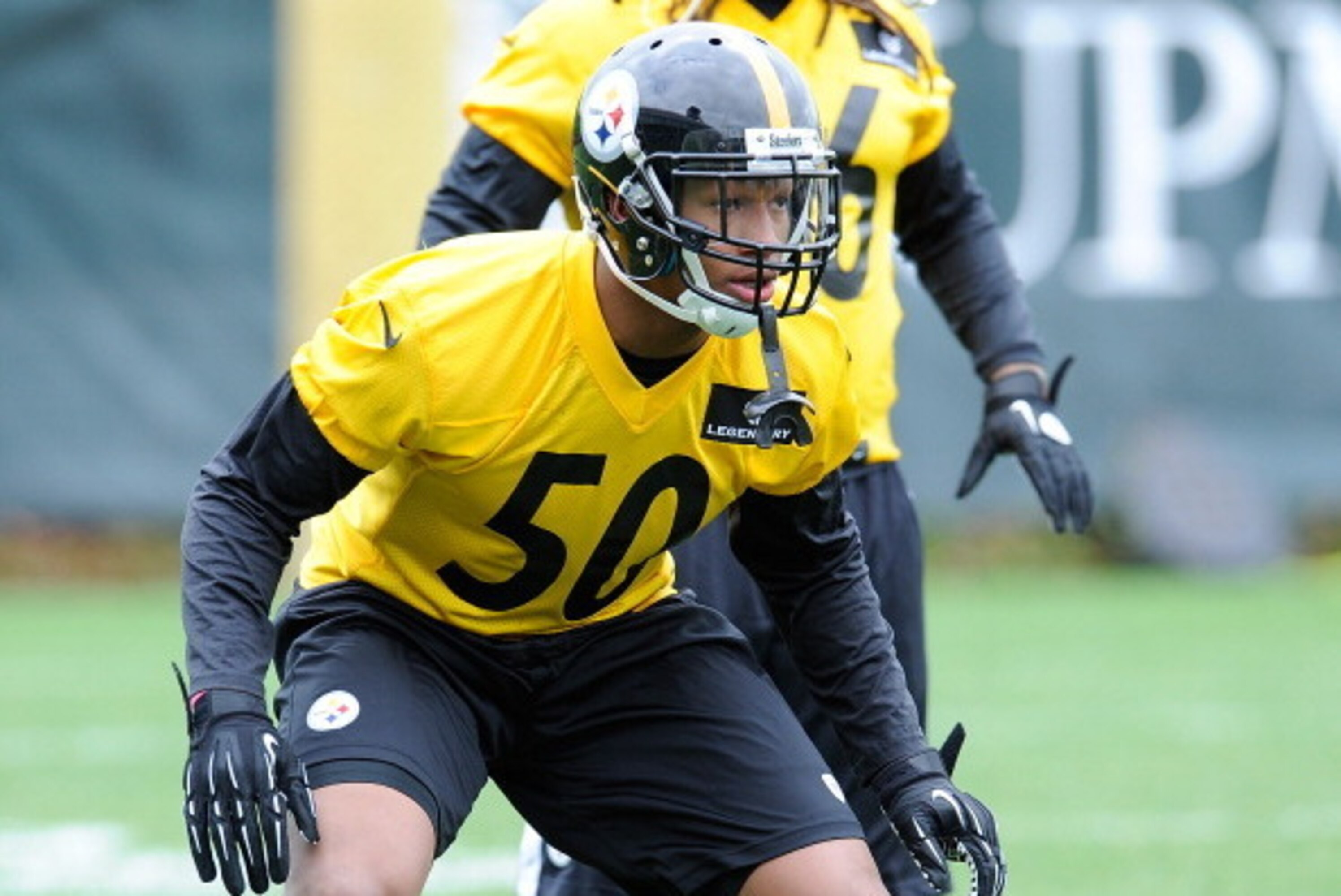 Breaking Down All the New Faces on the 2014 Pittsburgh Steelers