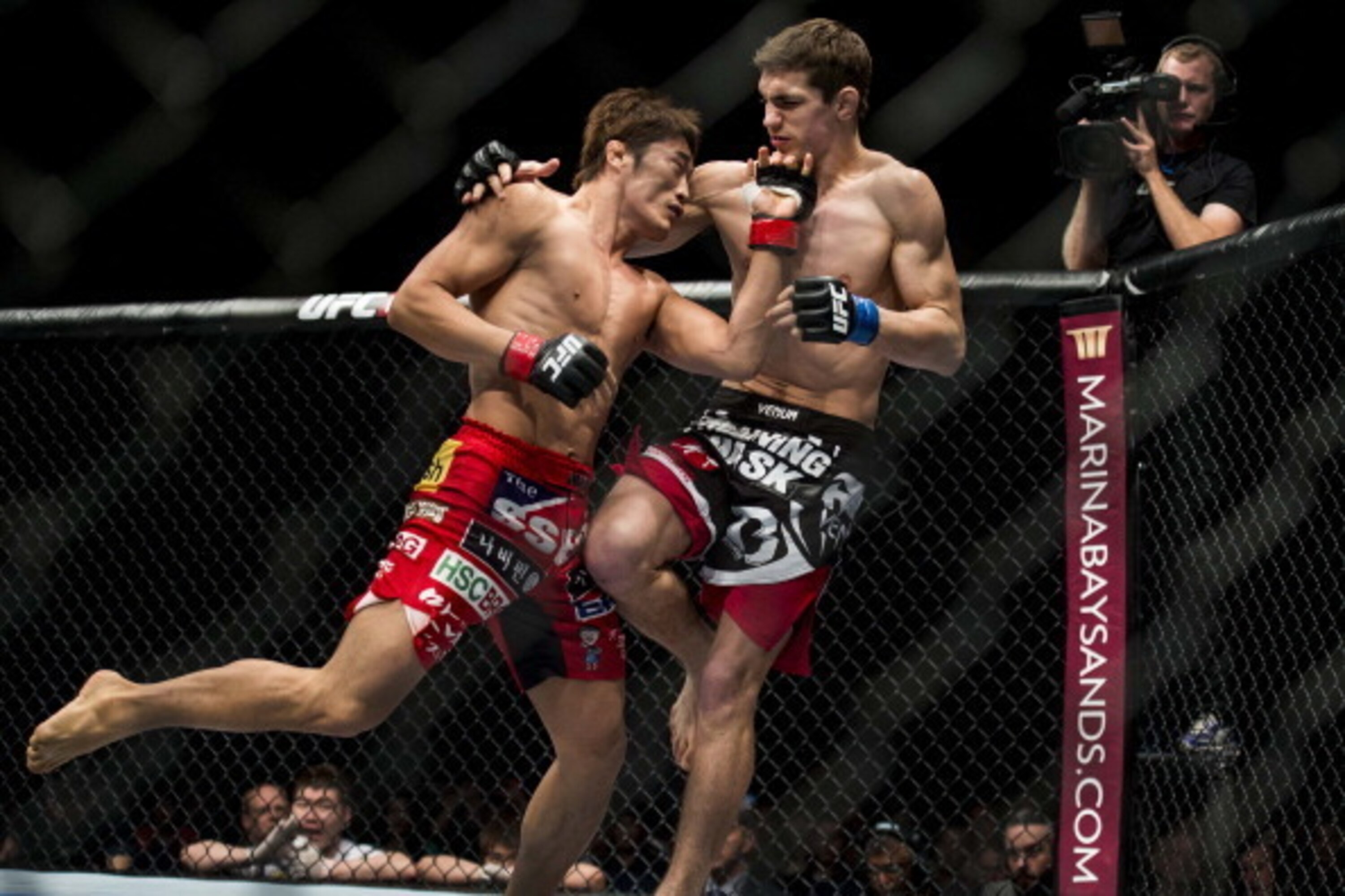 10 Best MMA Knockouts from the 1st Half of 2014